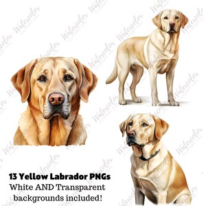 Yellow Labrador Clipart Watercolor Bundle | Dog Portrait | Yellow Lab ...