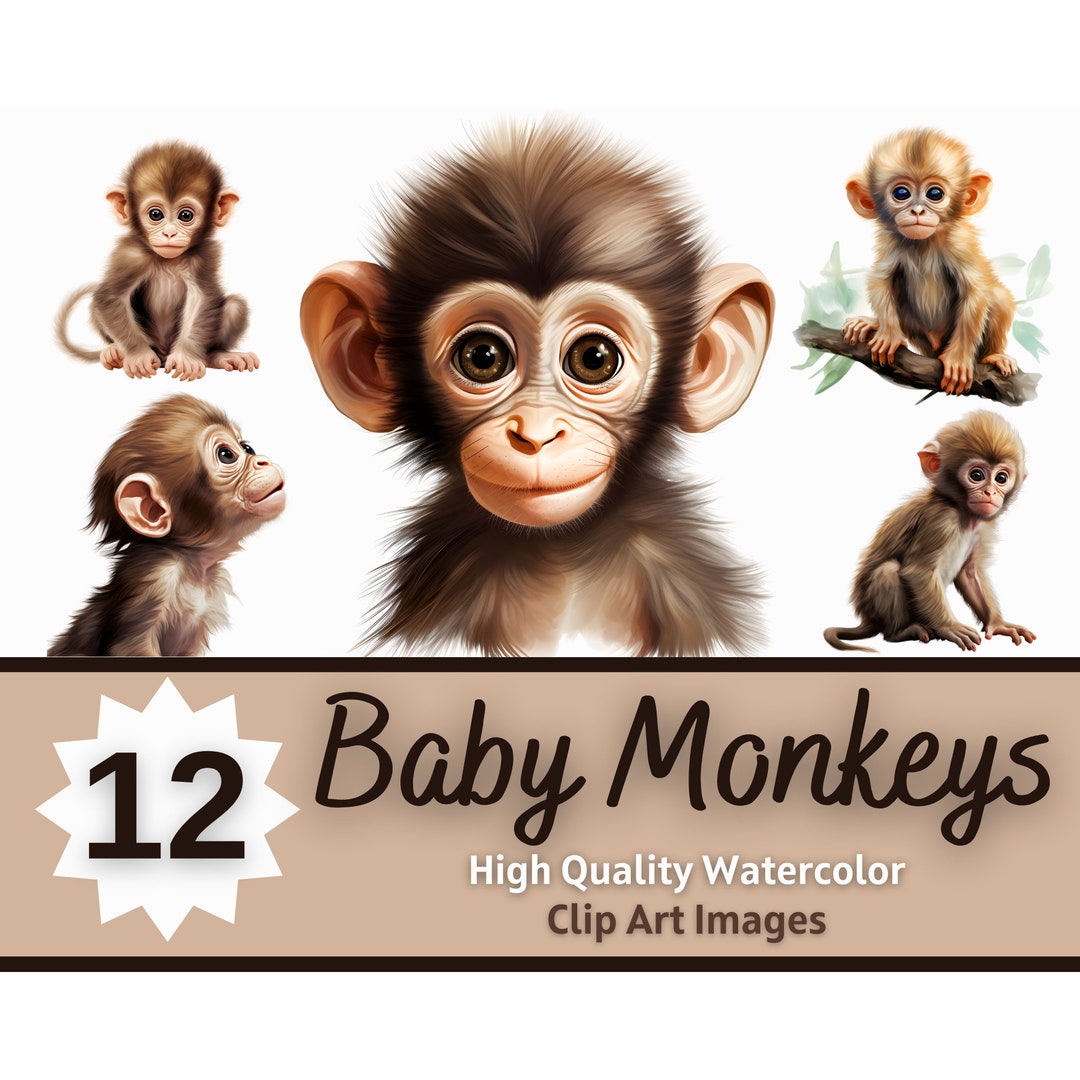 Baby Monkey PNG Clipart Watercolor Bundle | Baby Animals Clipart | Baby ...