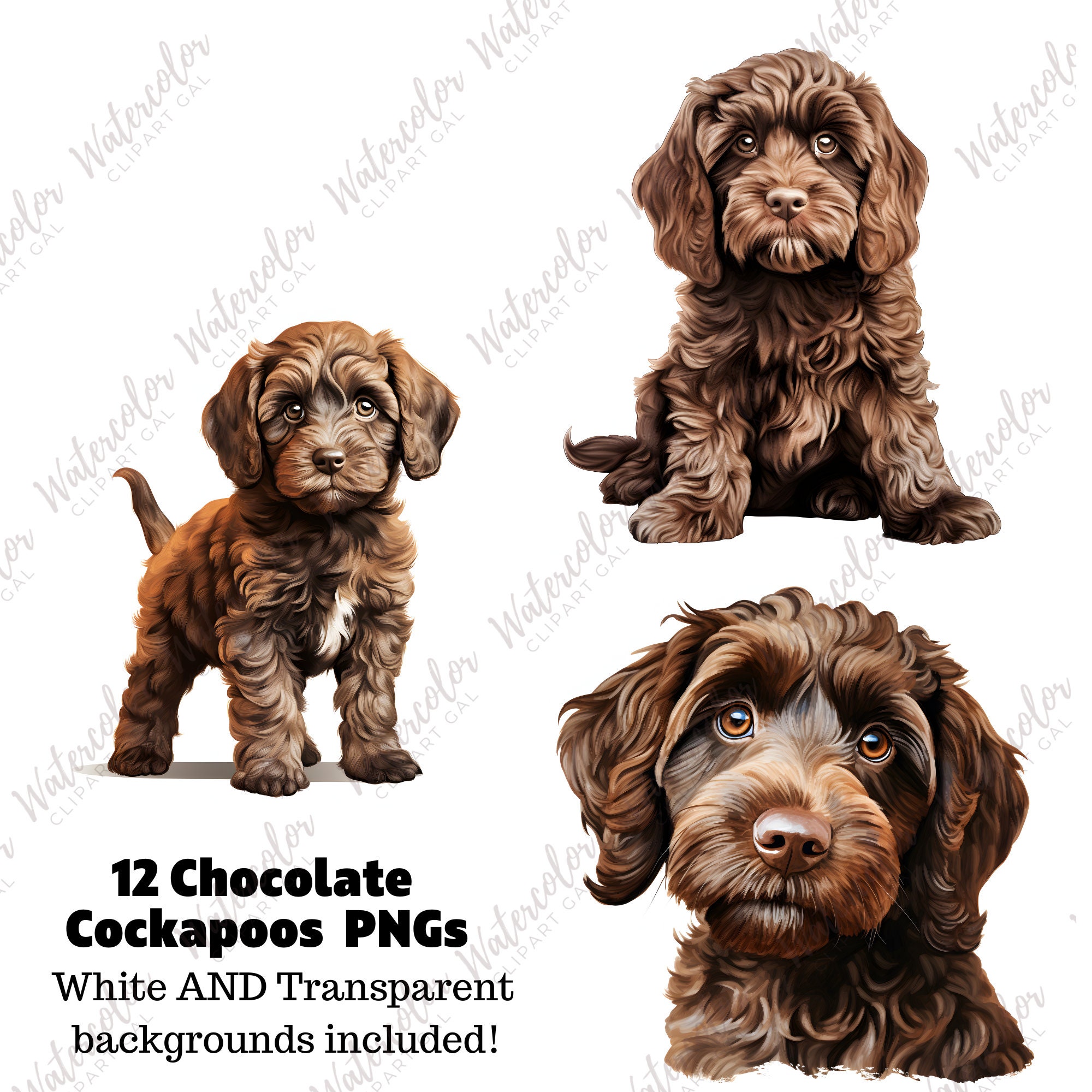Chocolate Cockapoo Clipart Watercolor Bundle Dog Portrait Chocolate ...