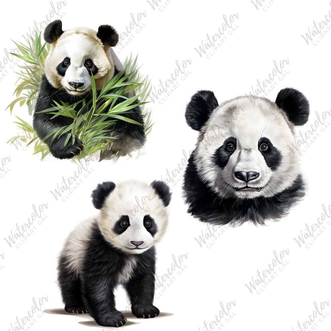 Cute Panda Clipart Watercolor Bundle Cute Panda PNG Cute - Etsy