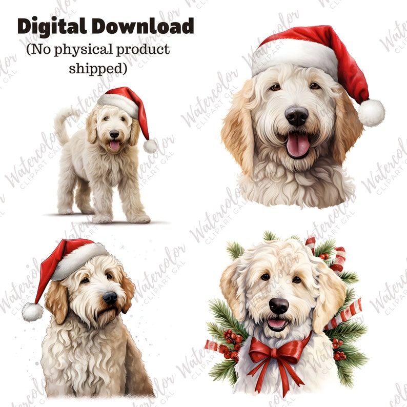Christmas White Goldendoodle Watercolor Bundle | Christmas Dog Clipart ...