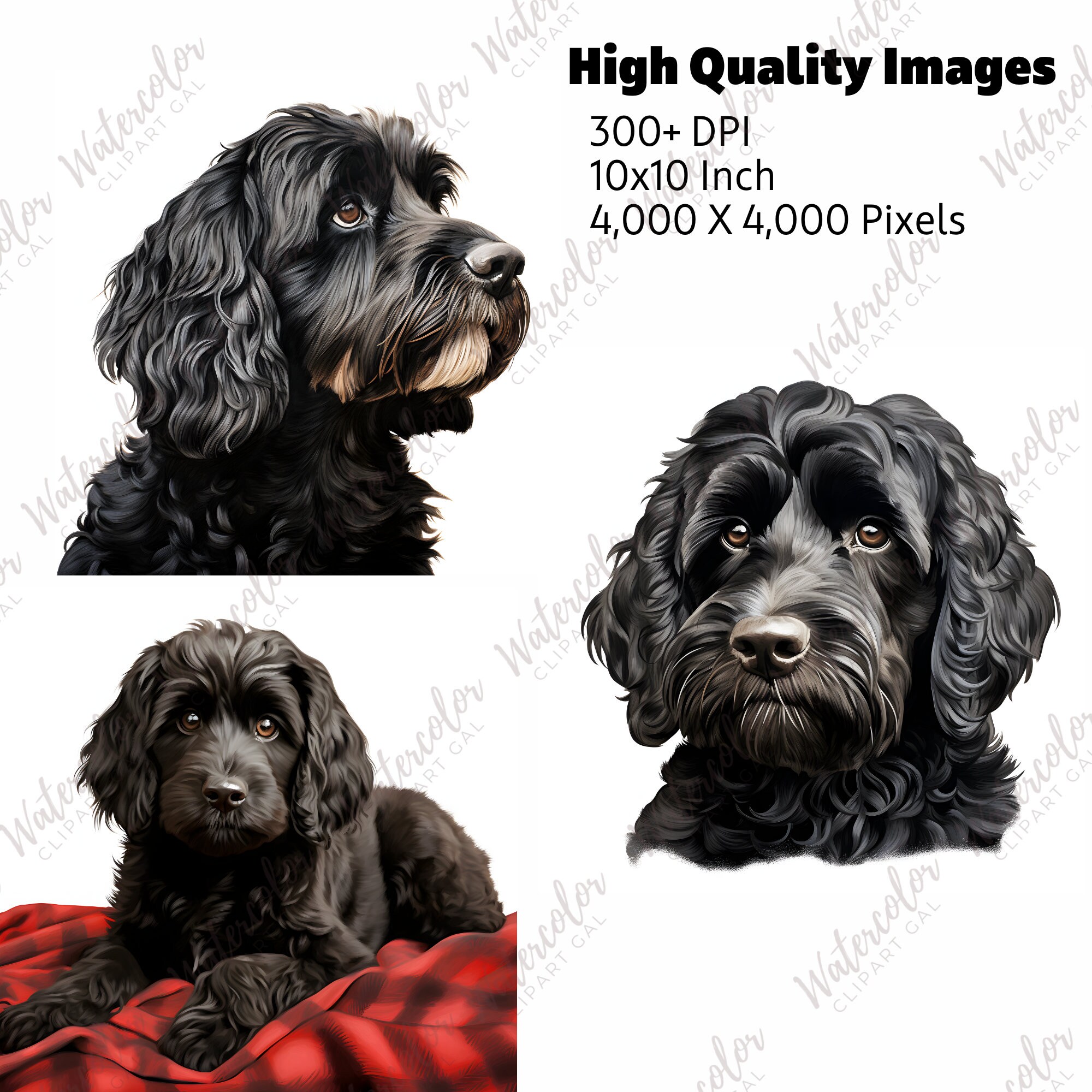 Black Cockapoo Clipart Watercolor Bundle | Dog Portrait | Black ...