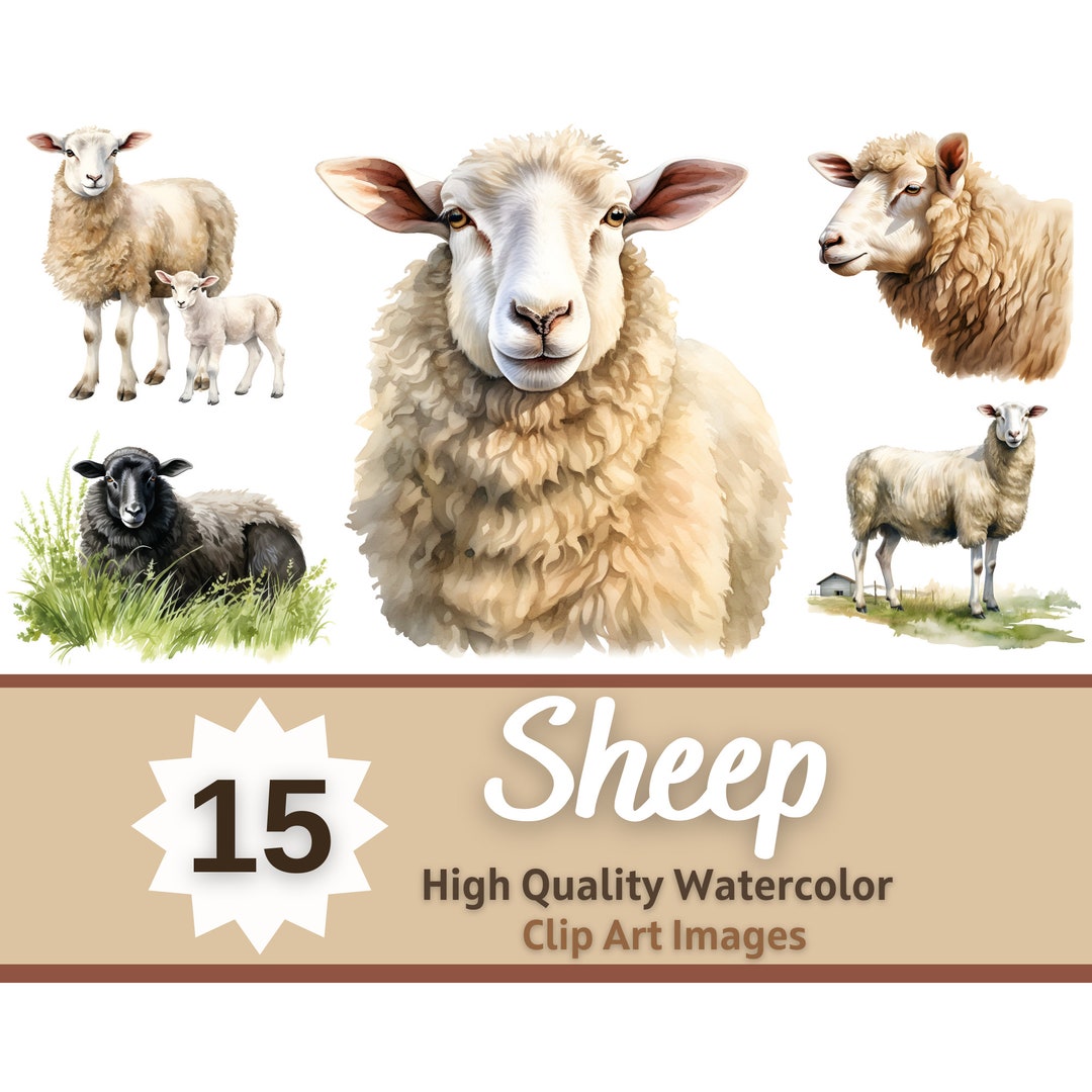 Sheep Clipart Watercolor Bundle | Cute Animal Clipart | Barnyard ...
