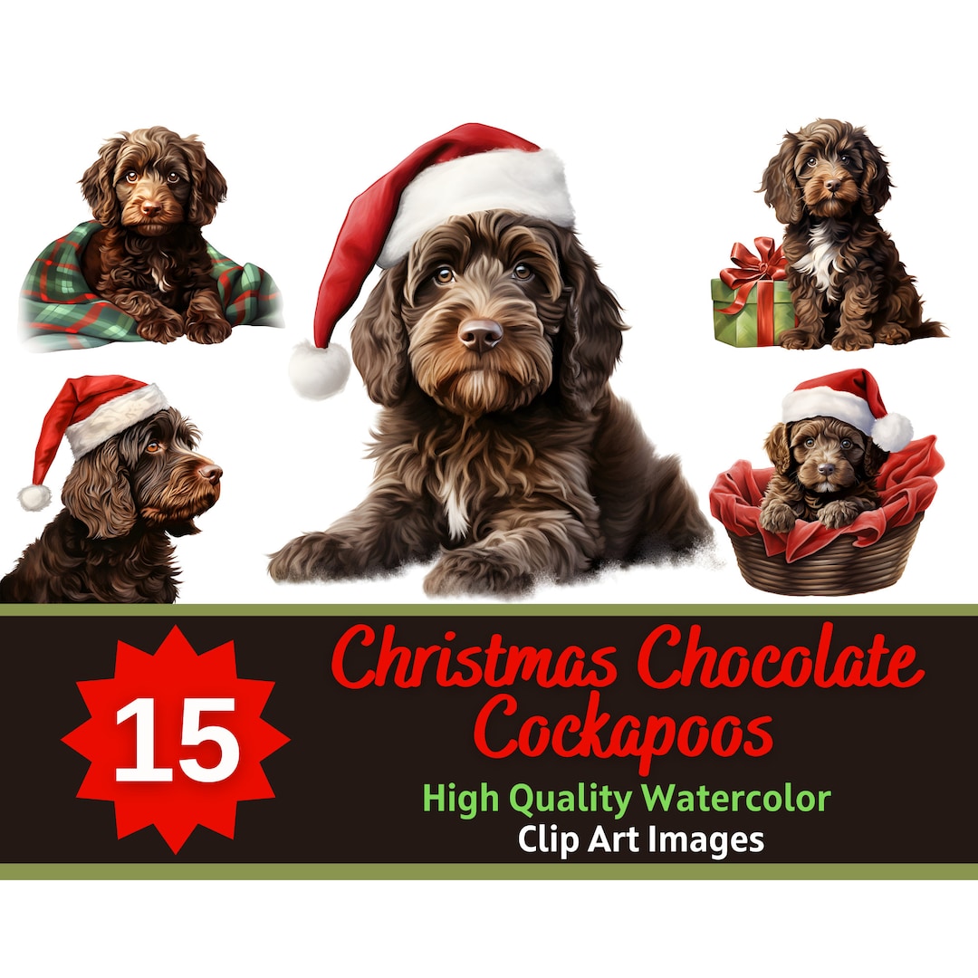 Christmas Chocolate Cockapoo PNG Bundle | Christmas Dog Clipart ...