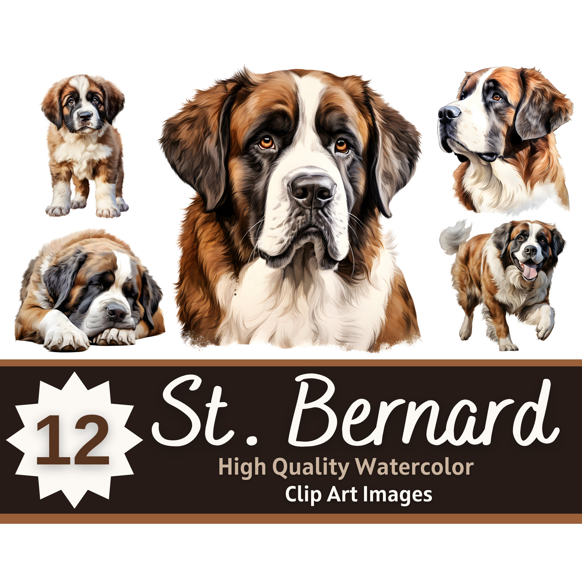 Saint Bernard Dog Clipart Watercolor Bundle Dog Portrait St Bernard PNG ...
