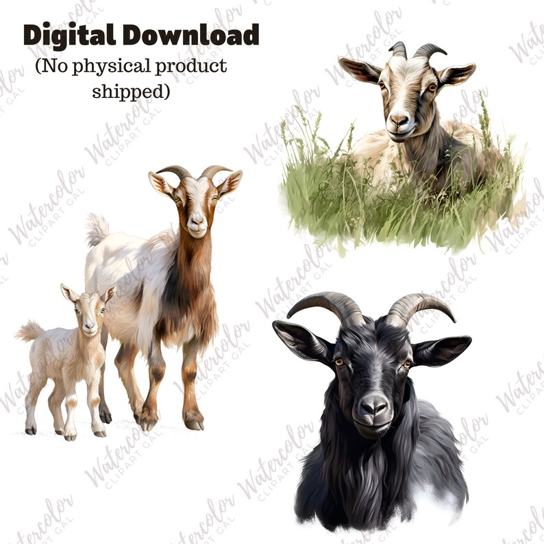 Goat Clipart Watercolor Bundle | Cute Animal Clipart | Barnyard ...