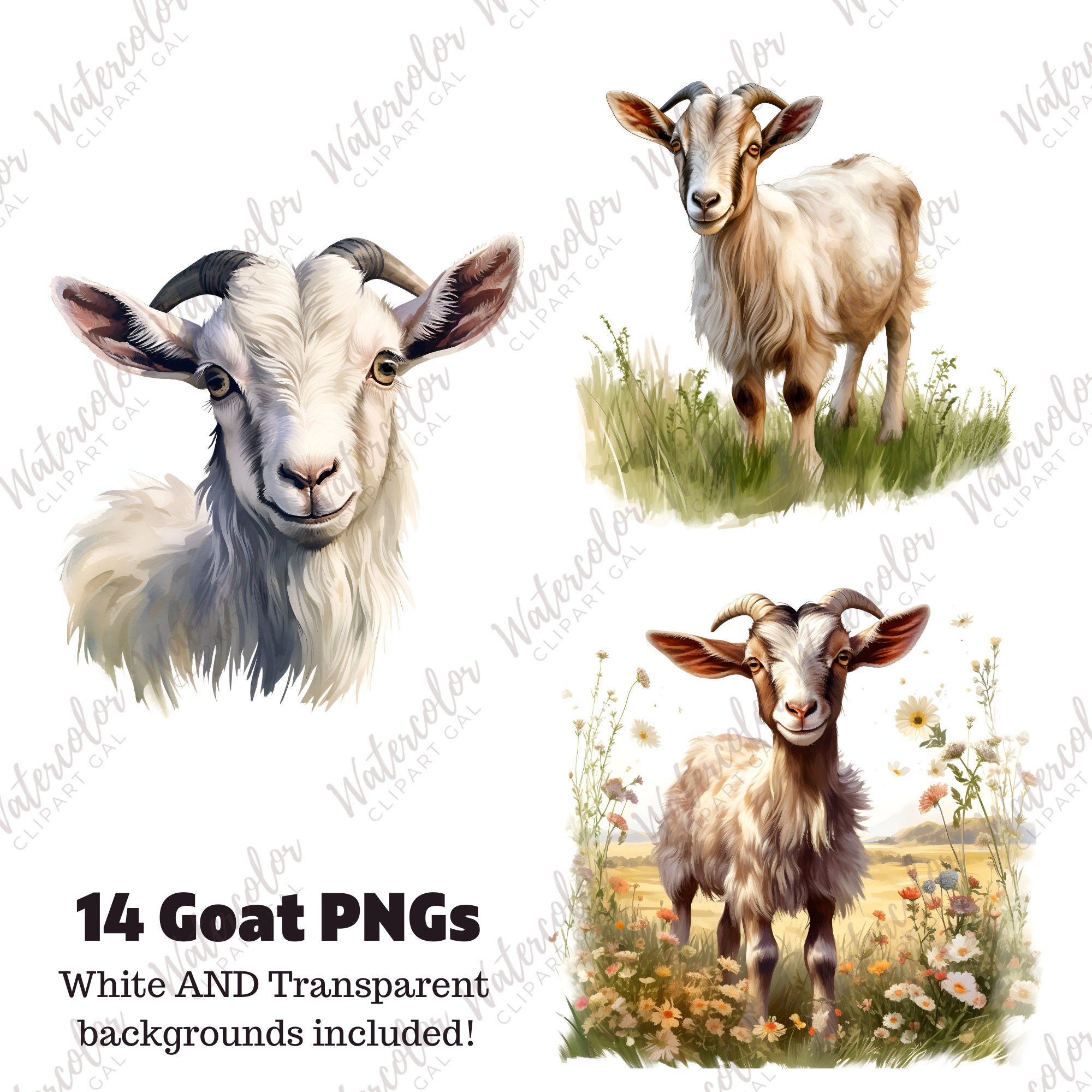 Goat Clipart Watercolor Bundle Cute Animal Clipart Barnyard Birthday ...