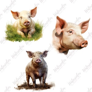 Pig Clipart Watercolor Bundle | Cute Animal Clipart | Barnyard Birthday ...