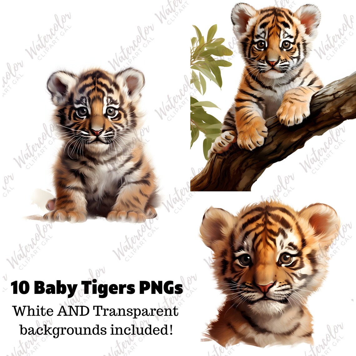 Baby Tiger PNG Clipart Watercolor Bundle | Baby Animals Clipart | Baby ...