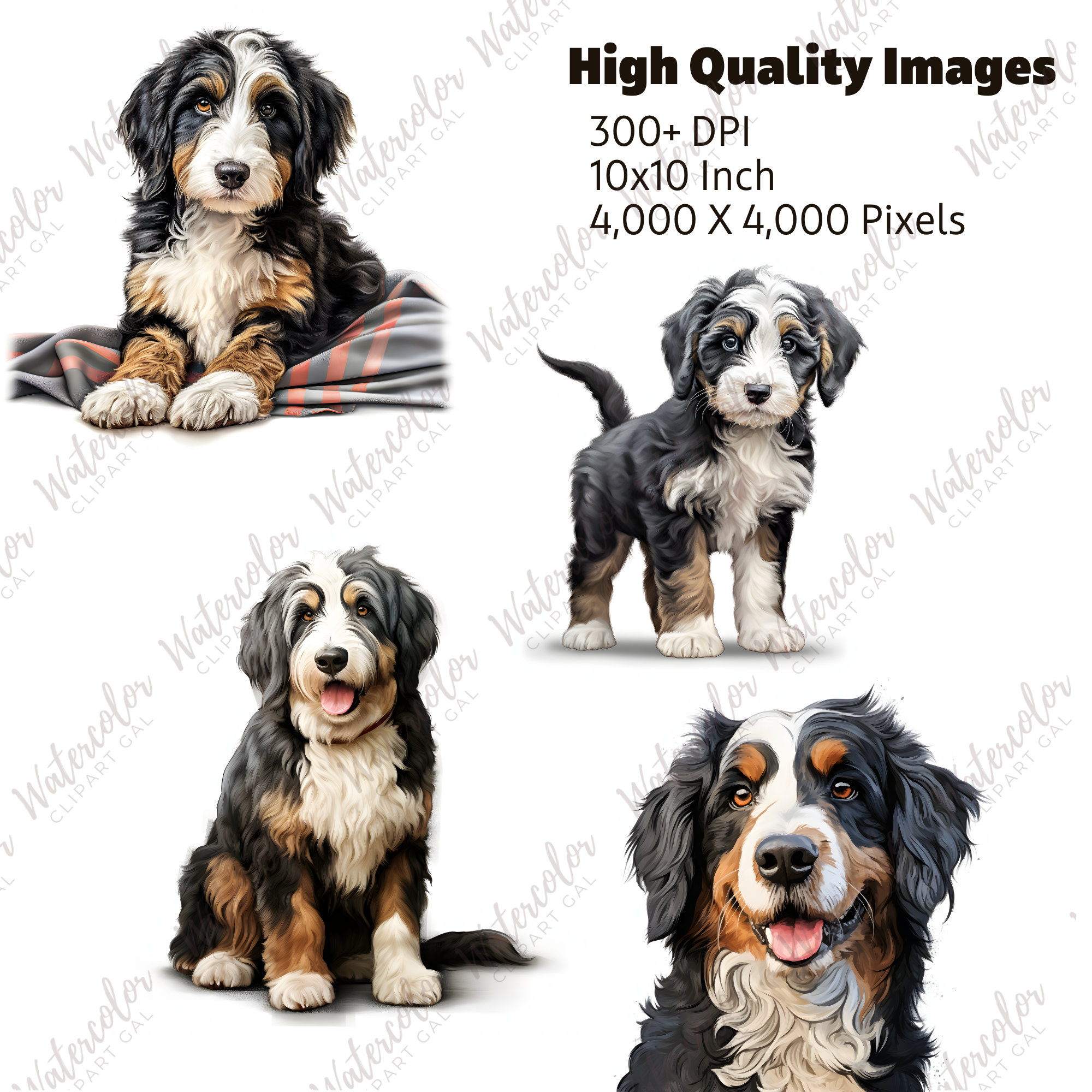 Bernedoodle Clipart Watercolor Bundle Dog Portrait Bernedoodle PNG Pet ...