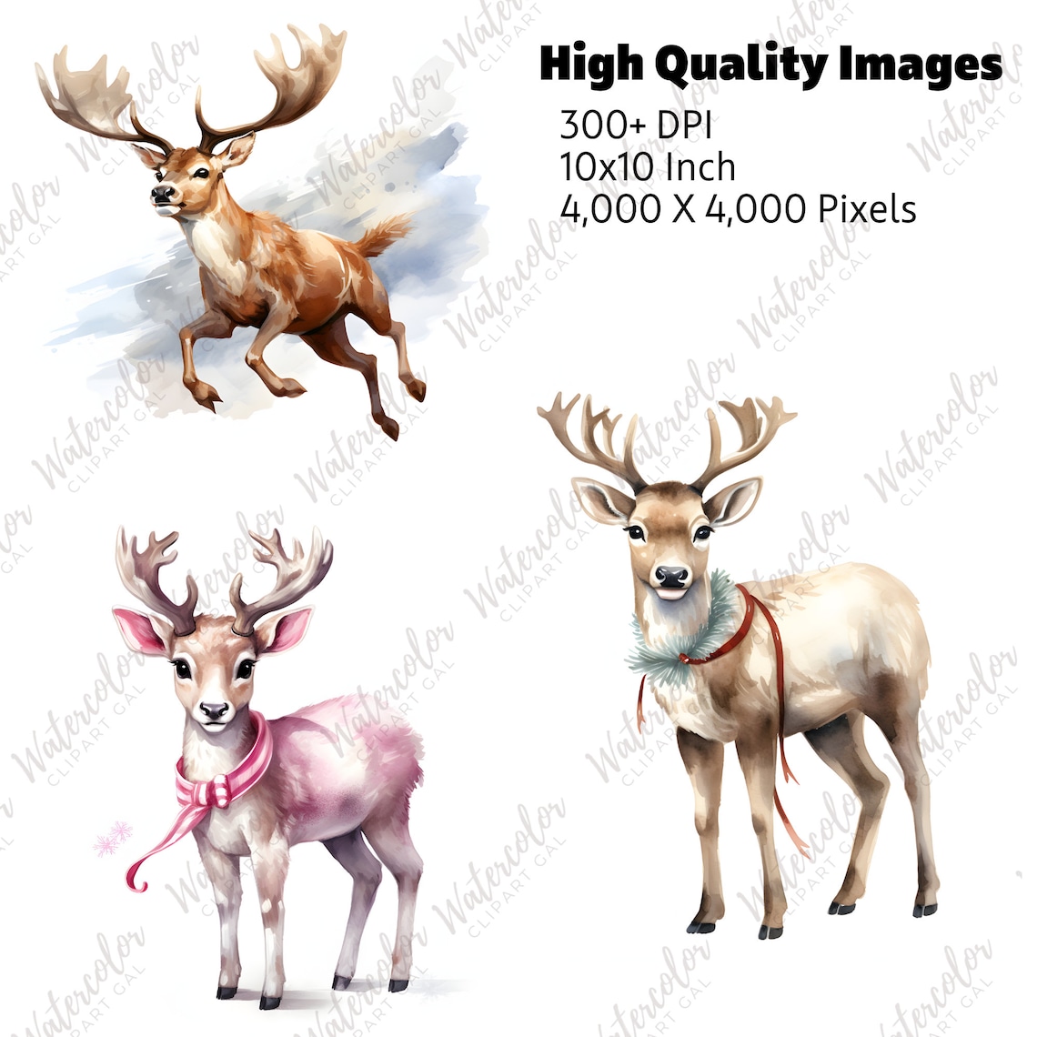 Santa's Reindeer Clipart PNG Watercolor Bundle Christmas - Etsy