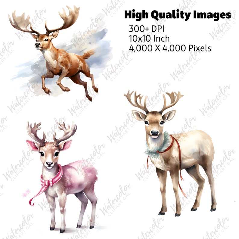Santa's Reindeer Clipart PNG Watercolor Bundle Christmas Reindeer ...