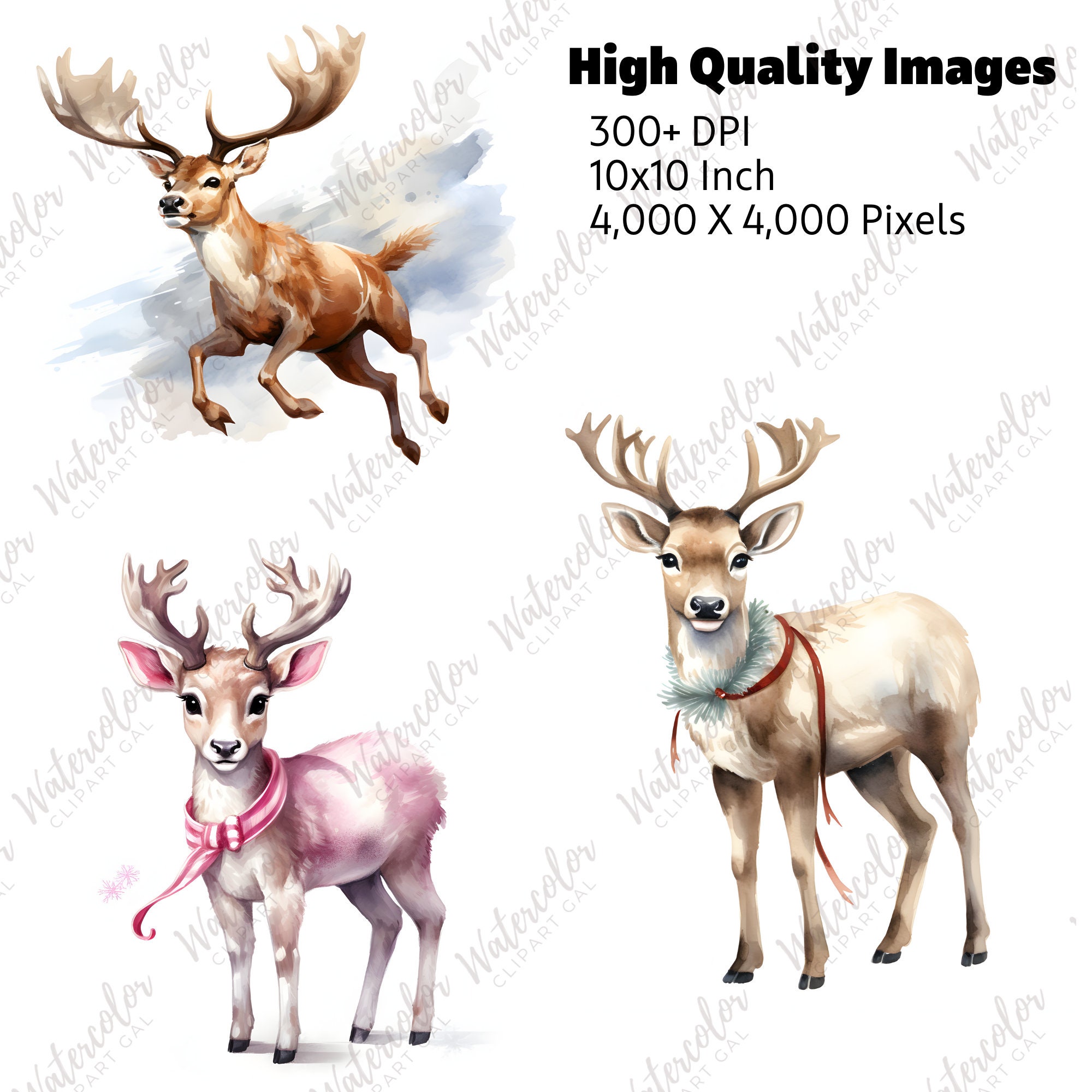 Santa's Reindeer Clipart PNG Watercolor Bundle | Christmas Reindeer ...