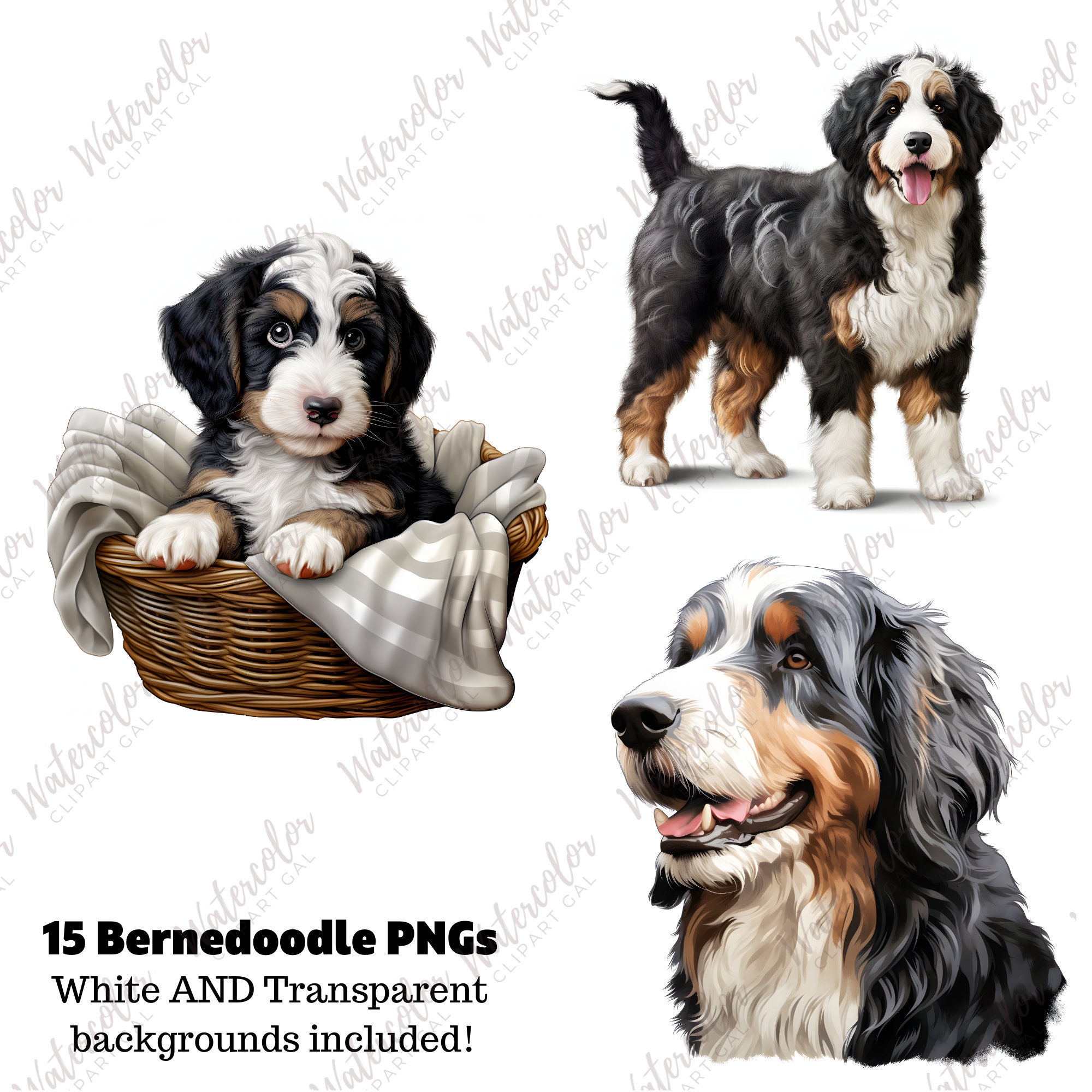 Bernedoodle Clipart Watercolor Bundle Dog Portrait Bernedoodle PNG Pet ...