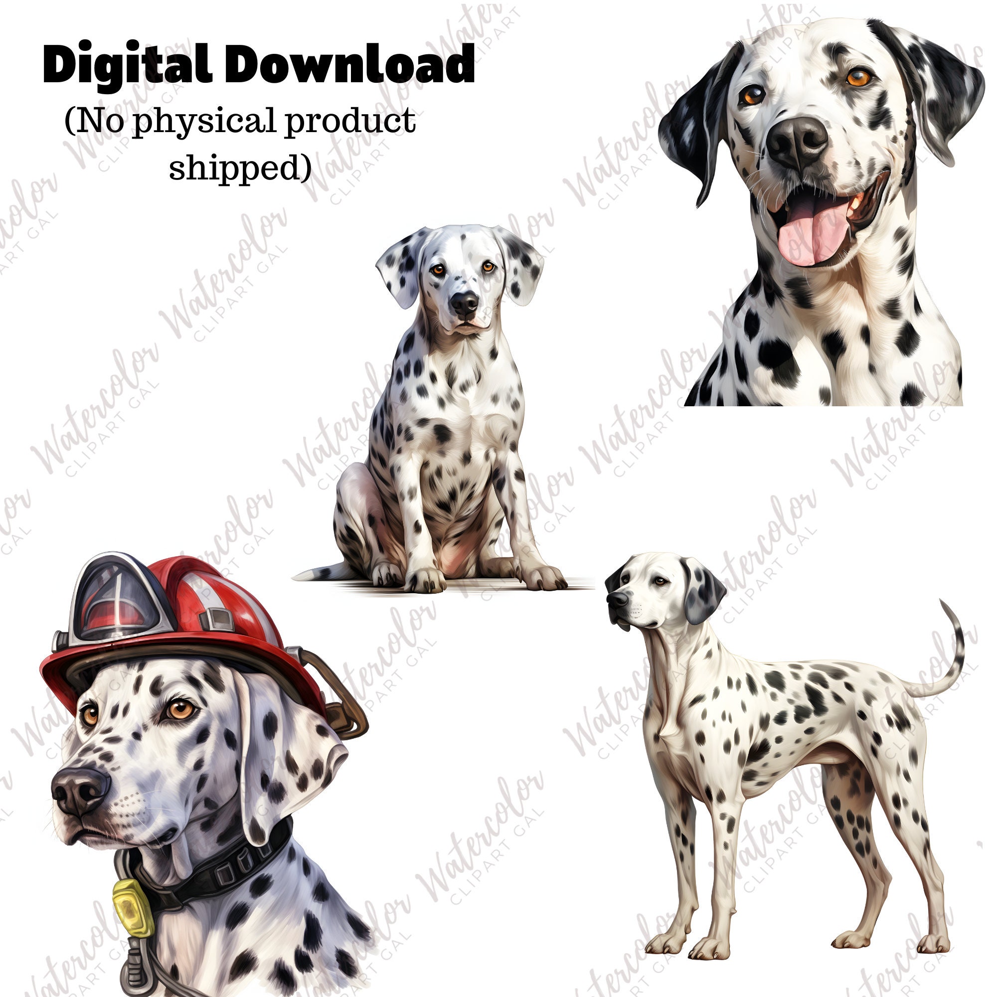 Dalmatian Clipart Watercolor Bundle Dog Portrait Dalmatian Dog PNG Pet ...