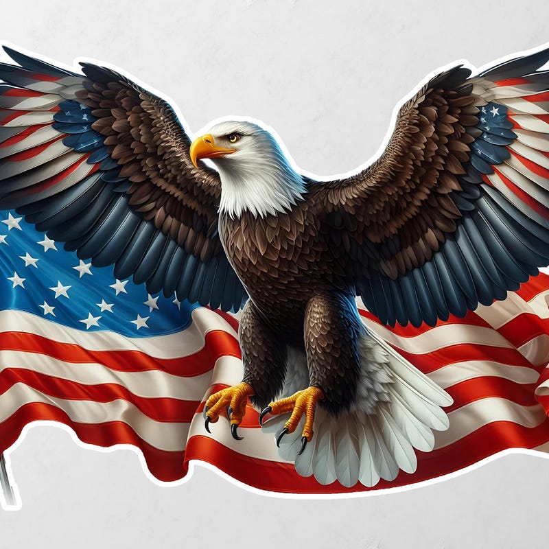 Soaring Eagle - Etsy