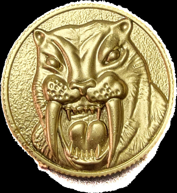 MMPR Power Coins - Etsy