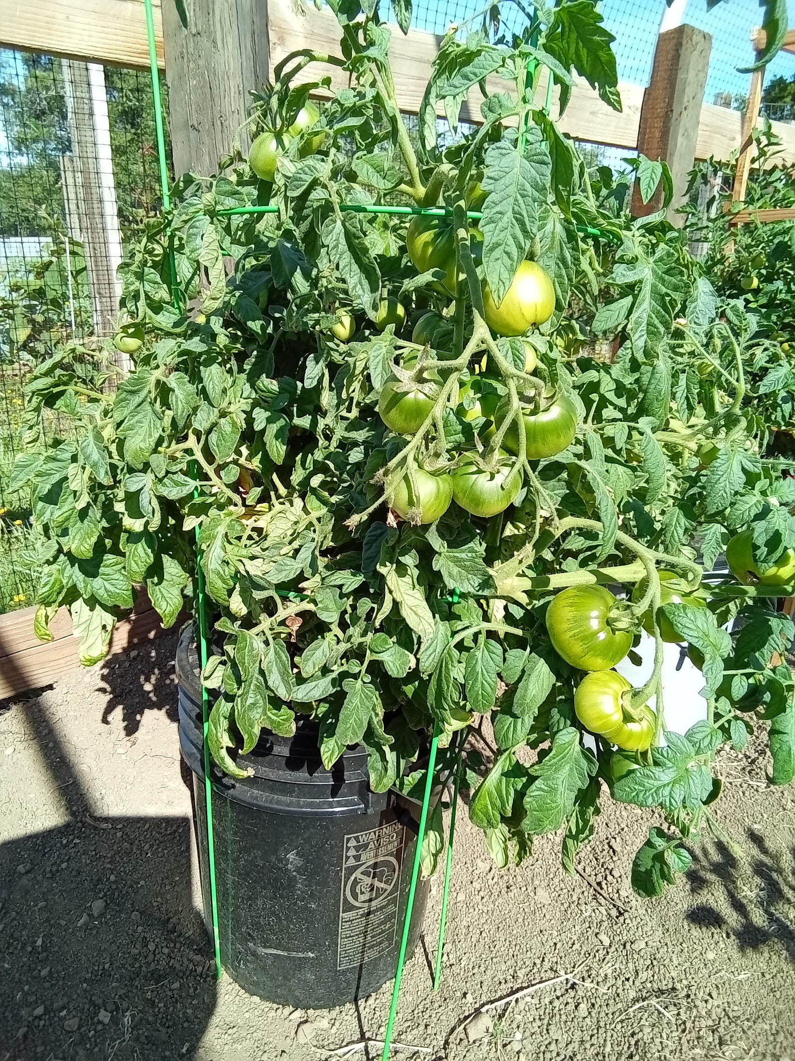 3 - 5 Gallon Hydroponic Buckets With Lids, Kratky, Rain Resistant ...