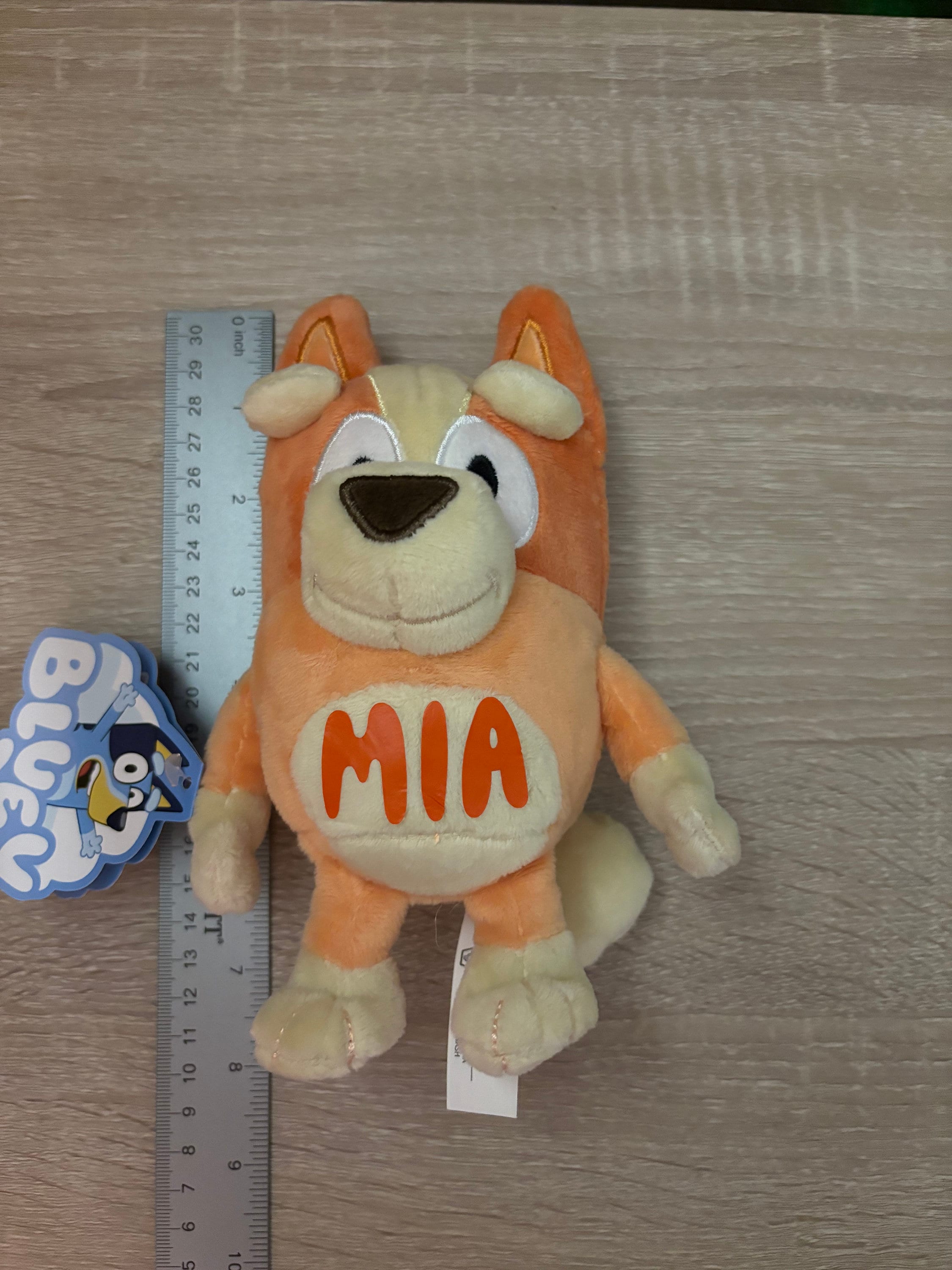 Bluey or Bingo Plush 8 Stuffy, Personalized Gift, Custom Bluey Bingo ...