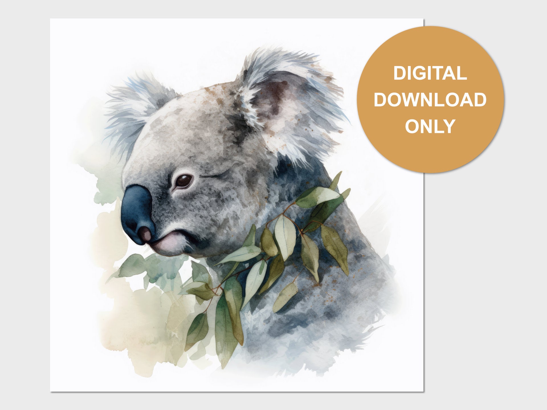 Three Australian Animals Watercolour Art Print Featuring a Koala, Dingo ...