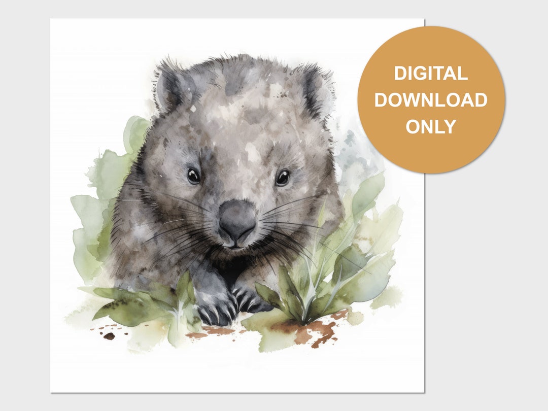 Australian Wombat Watercolour Art Print Digital Download - Etsy