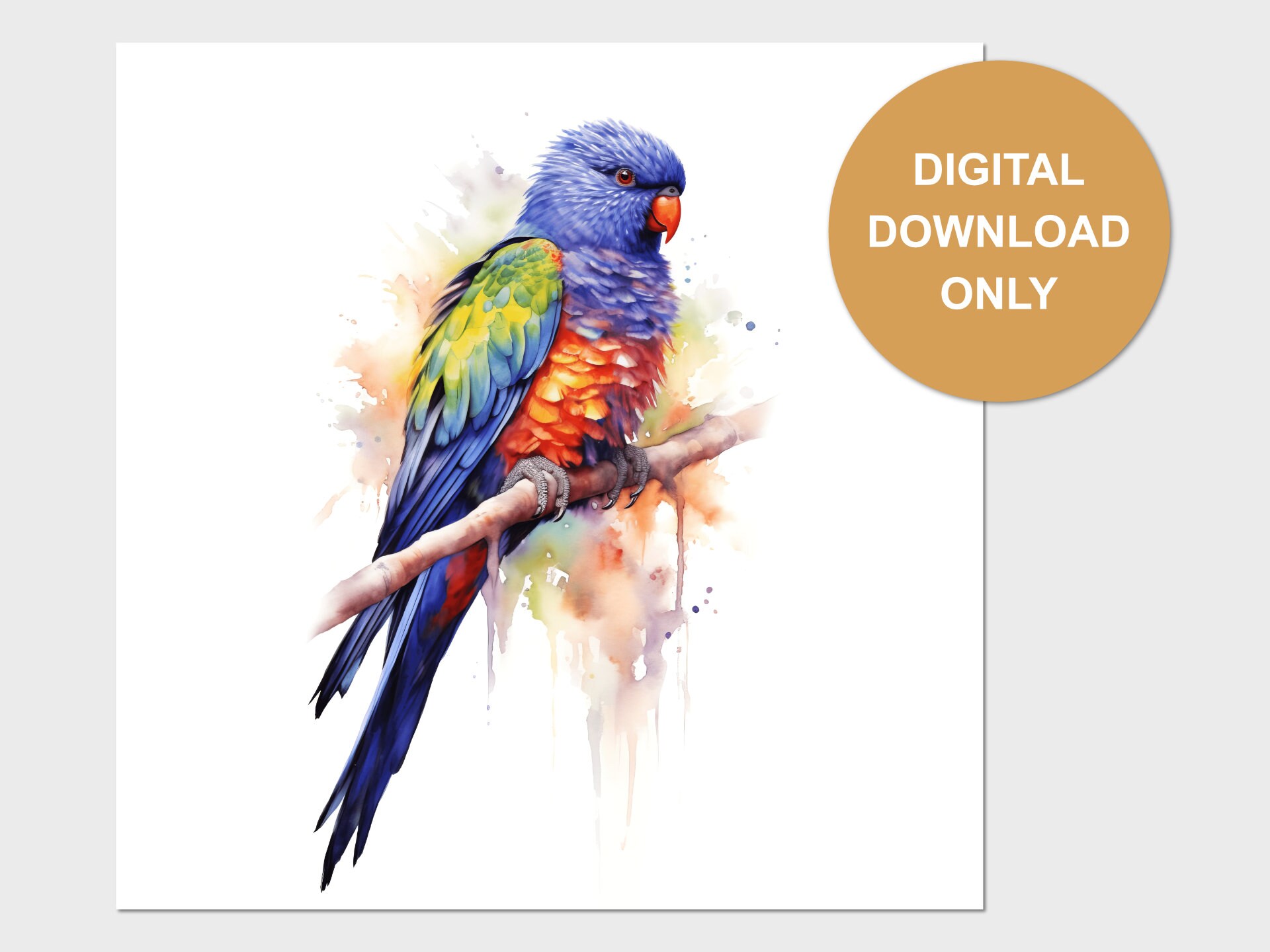 Australian Rainbow Lorikeet Watercolour Art Print Digital Download ...