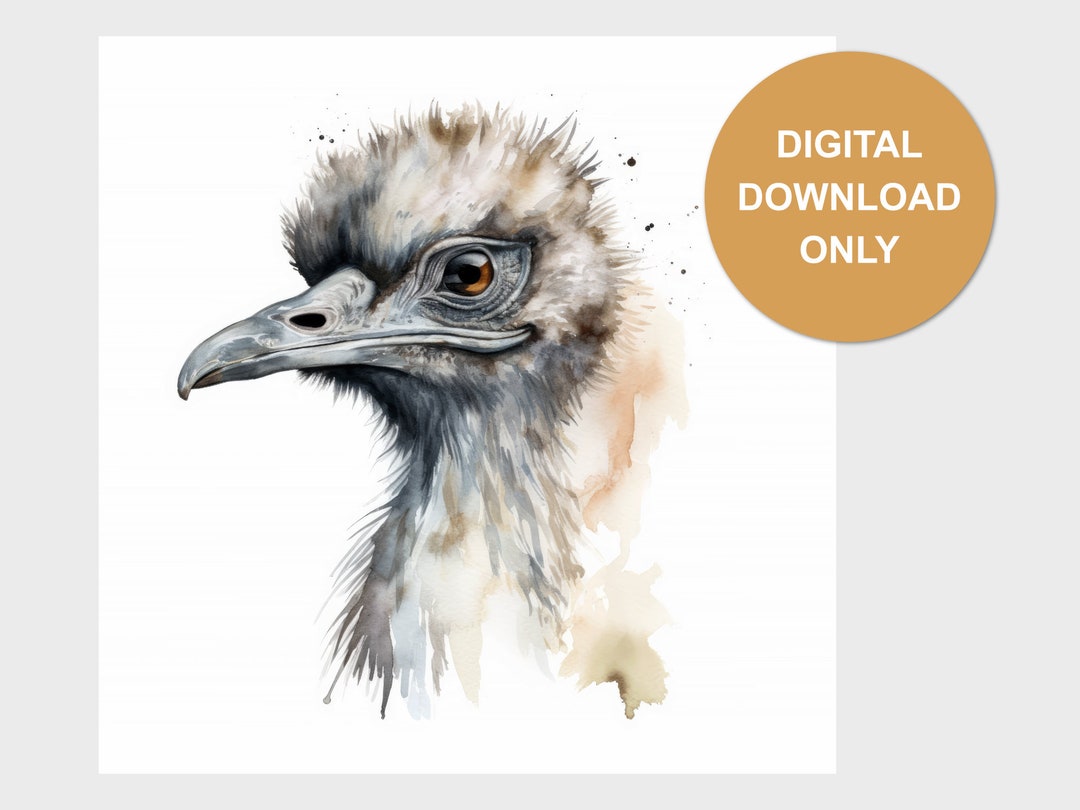Australian Emu Watercolour Art Print Digital Download - Etsy