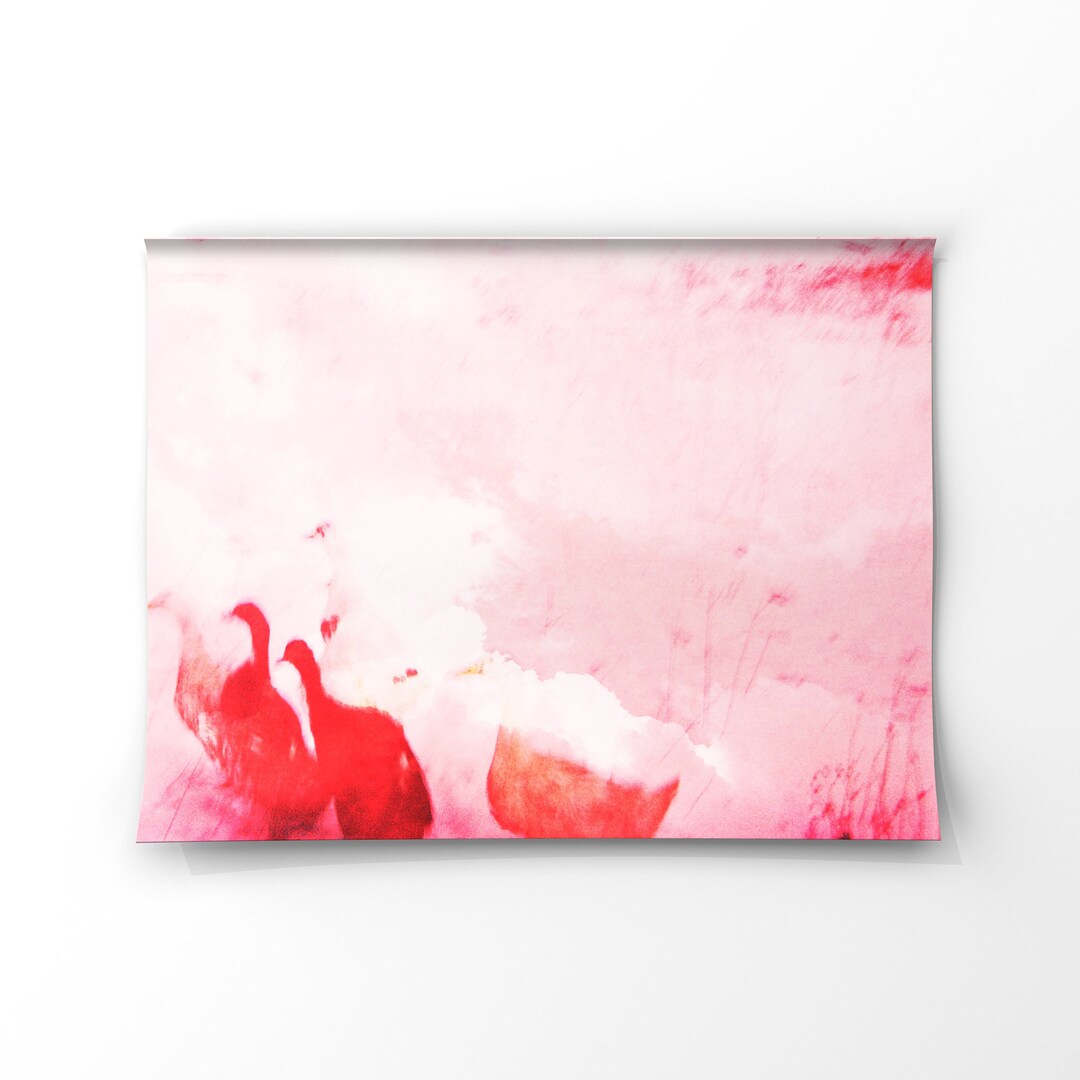 Redscale Photography Print: Stain Series, Transparent Paper (A3 13”x19 ...