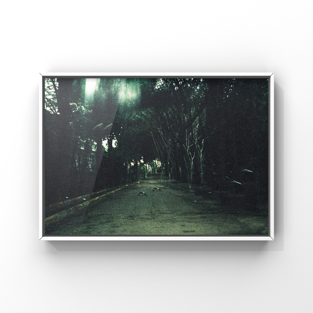 Istanbul Series, Vintage Wall Art Print, Limited Analog Photography ...