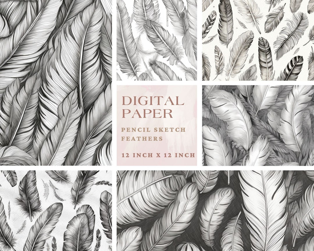 Pencil Sketch Feather Design Digital Paper, 6 Patterns, Instant ...