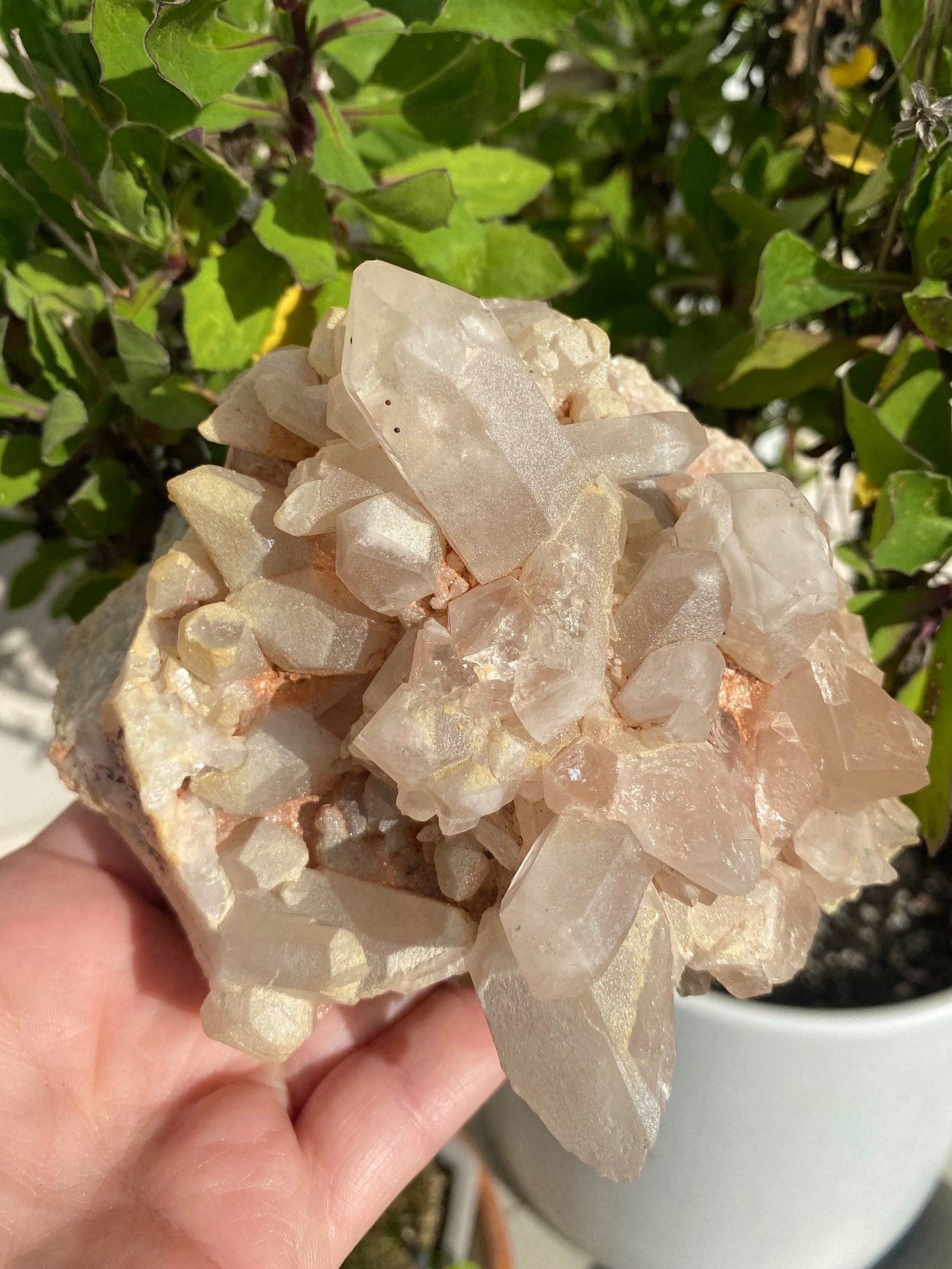 Phantom Quartz Cluster With Mica Inclusions - Etsy