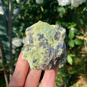 Green Serpentine With Galena and Pyrite, Serpentine Crystal Chunk - Etsy