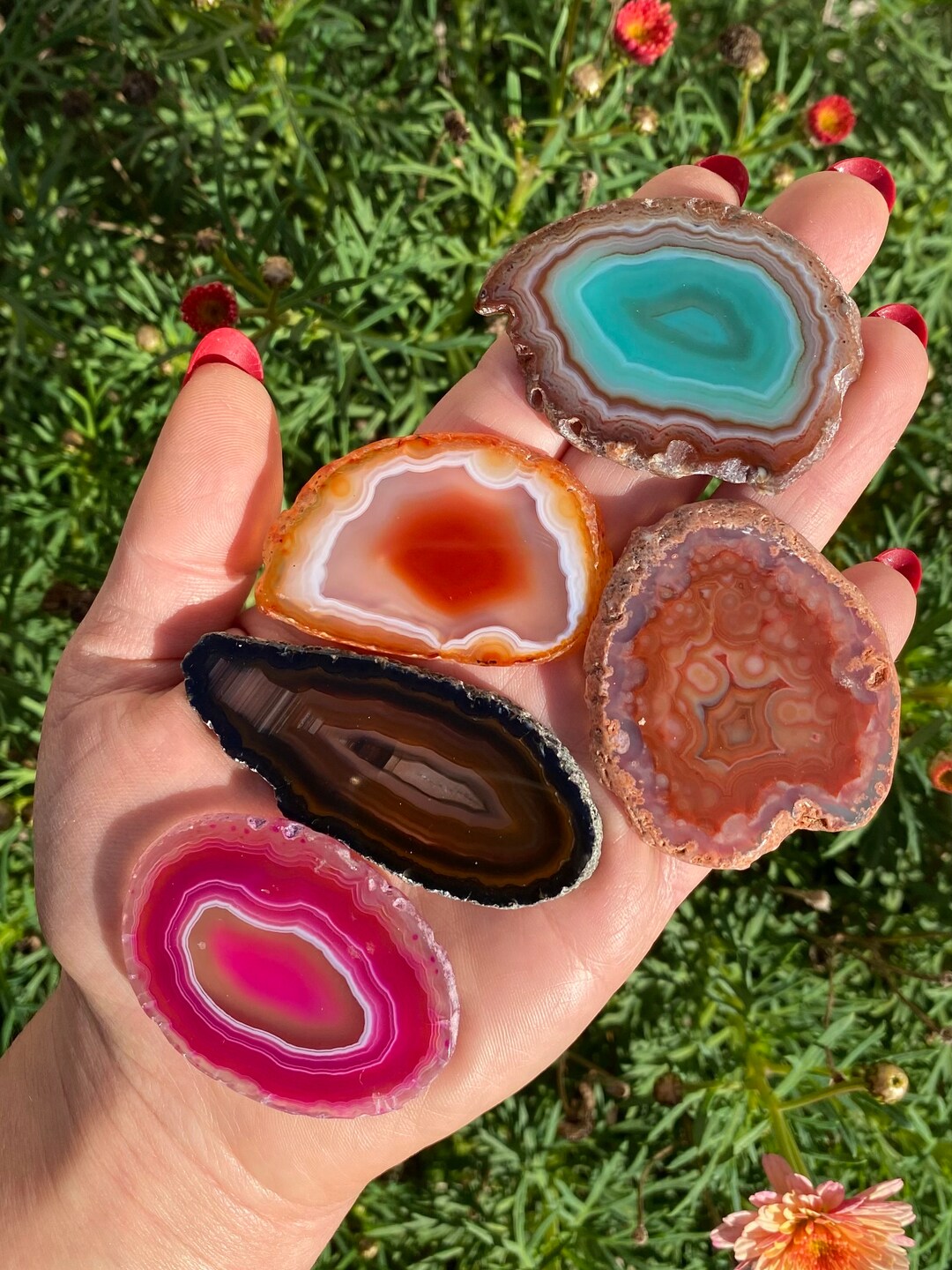 Coloured Crystal Agate Slice, Dyed Agate Geode Slice - Etsy