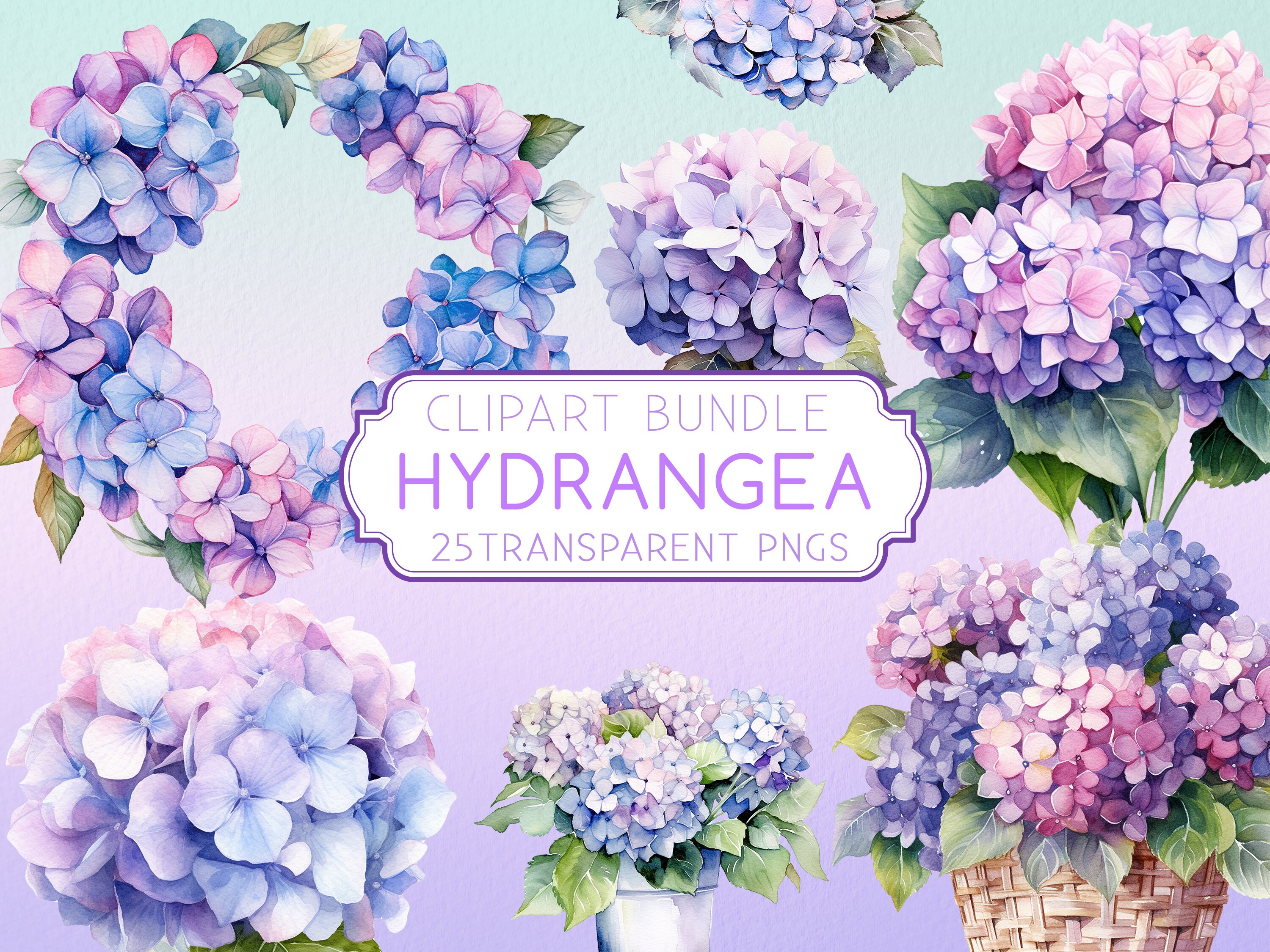 25 Hydrangea Flower Clipart Bundle Set, High Quality Clipart ...
