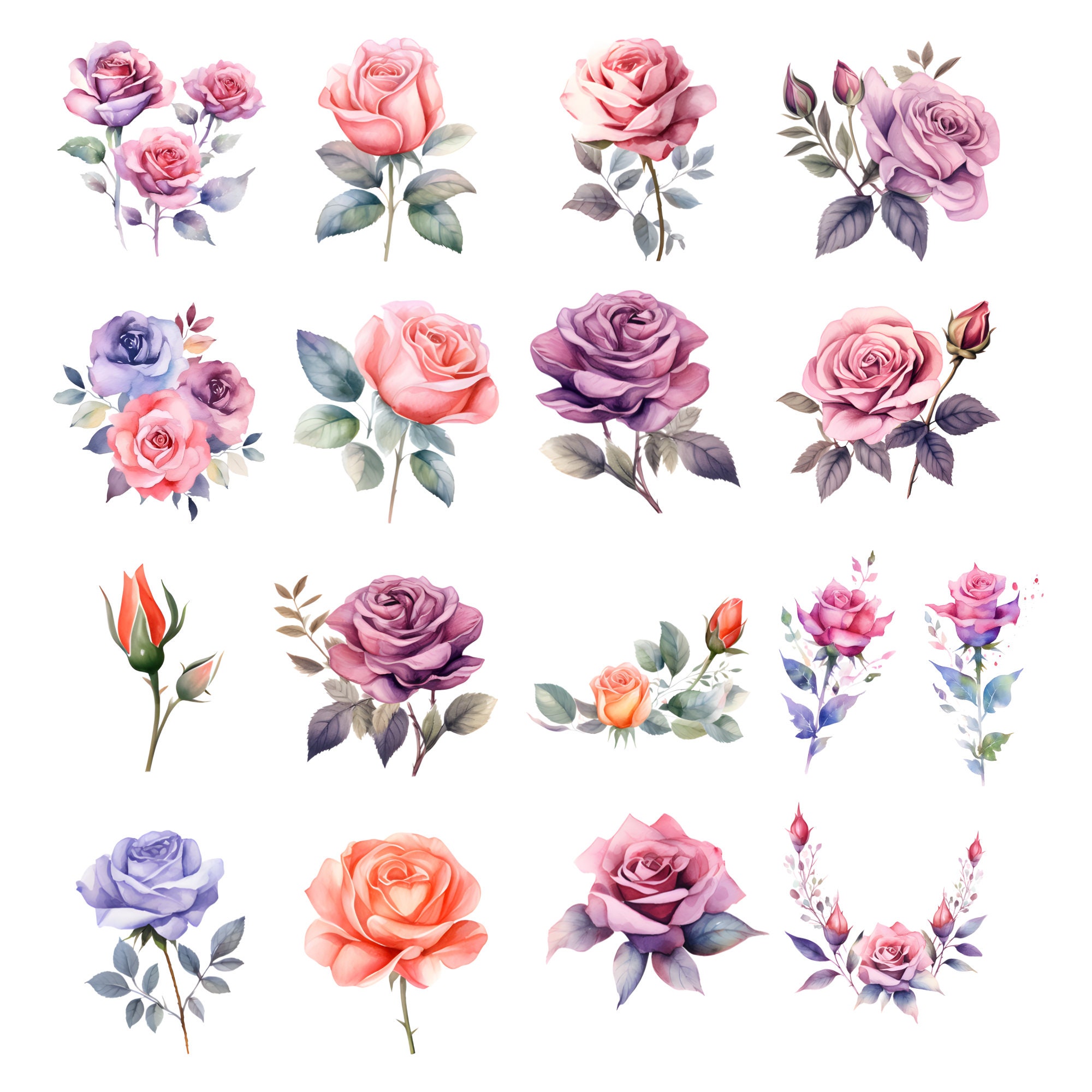 Rose Clipart Bundle Flower Png Garden Roses Card Making Junk Journal ...