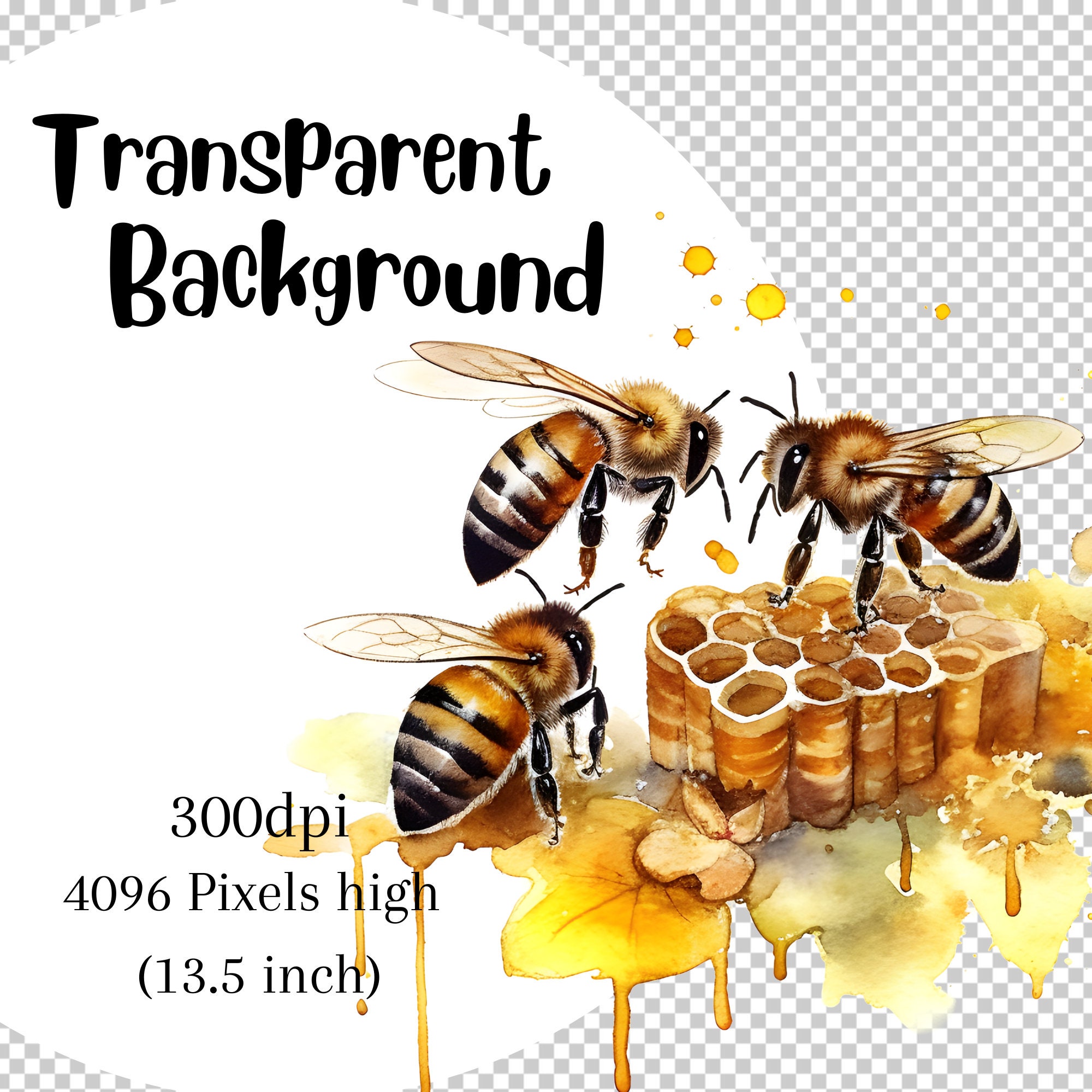 Watercolor Honey Bee Clipart - Spring Floral and Honey - Spring Clipart ...