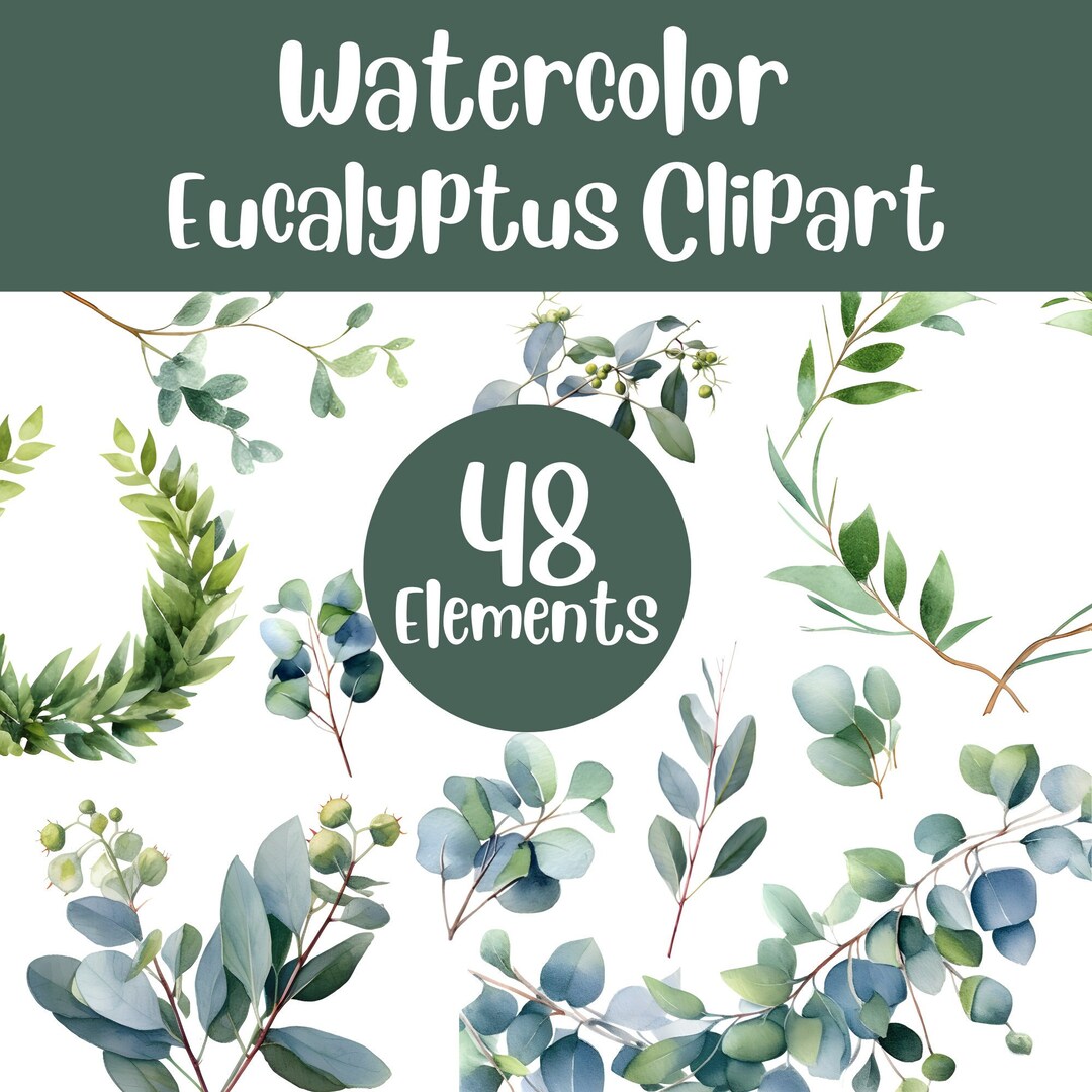 Watercolor Eucalyptus Clipart Greenery Png Foliage Printable Large Png ...