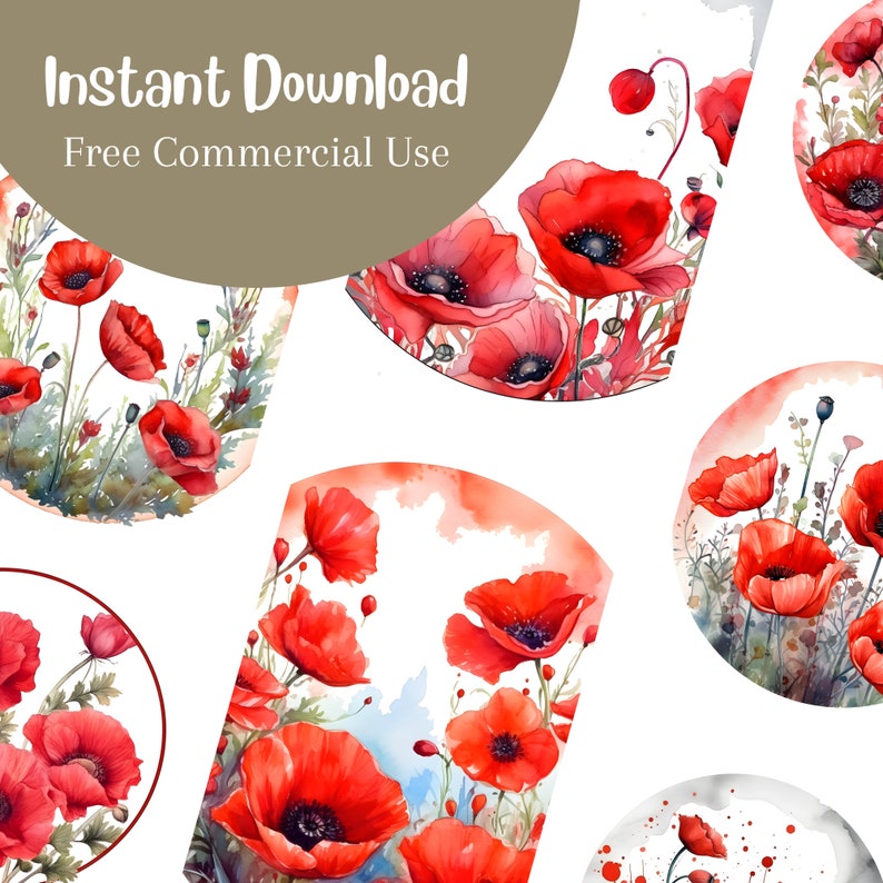 Poppy Clipart - Watercolor Style - Circle Png - Floral Designs ...