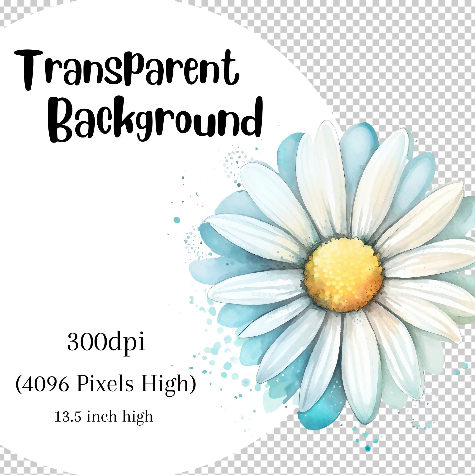 Daisy Clipart Watercolor Style - Flower Png - Floral Designs - Blue ...