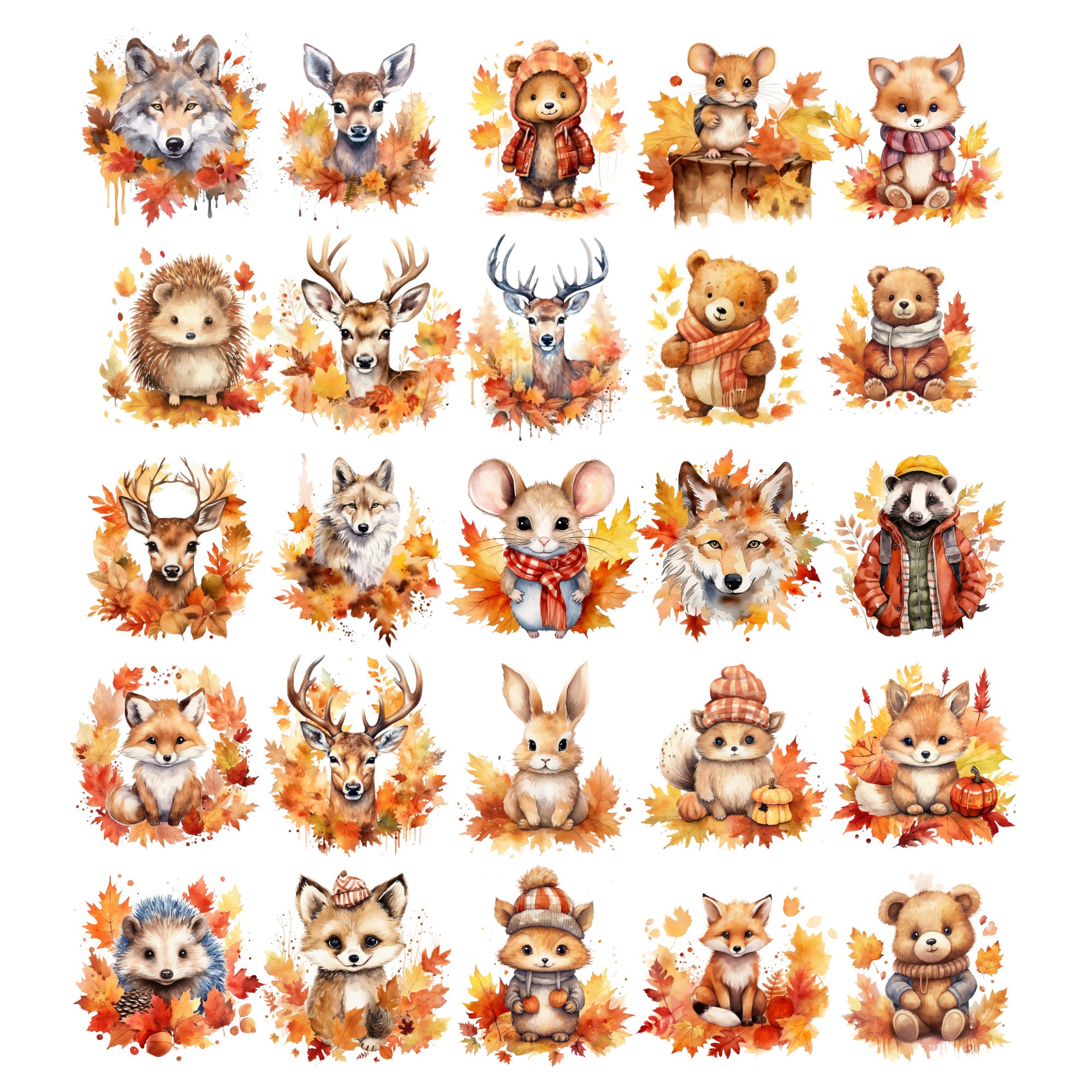 Autumn Animals Clipart Pumpkins Harvest and Fall Foliage - Etsy