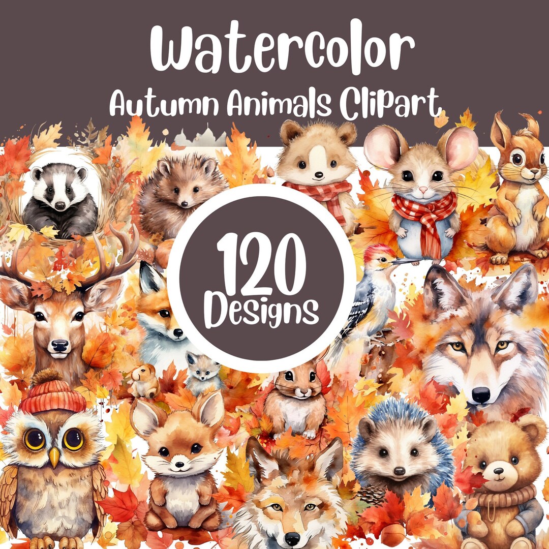 Autumn Animals Clipart, Pumpkins, Harvest, and Fall Foliage Clipart PNG ...