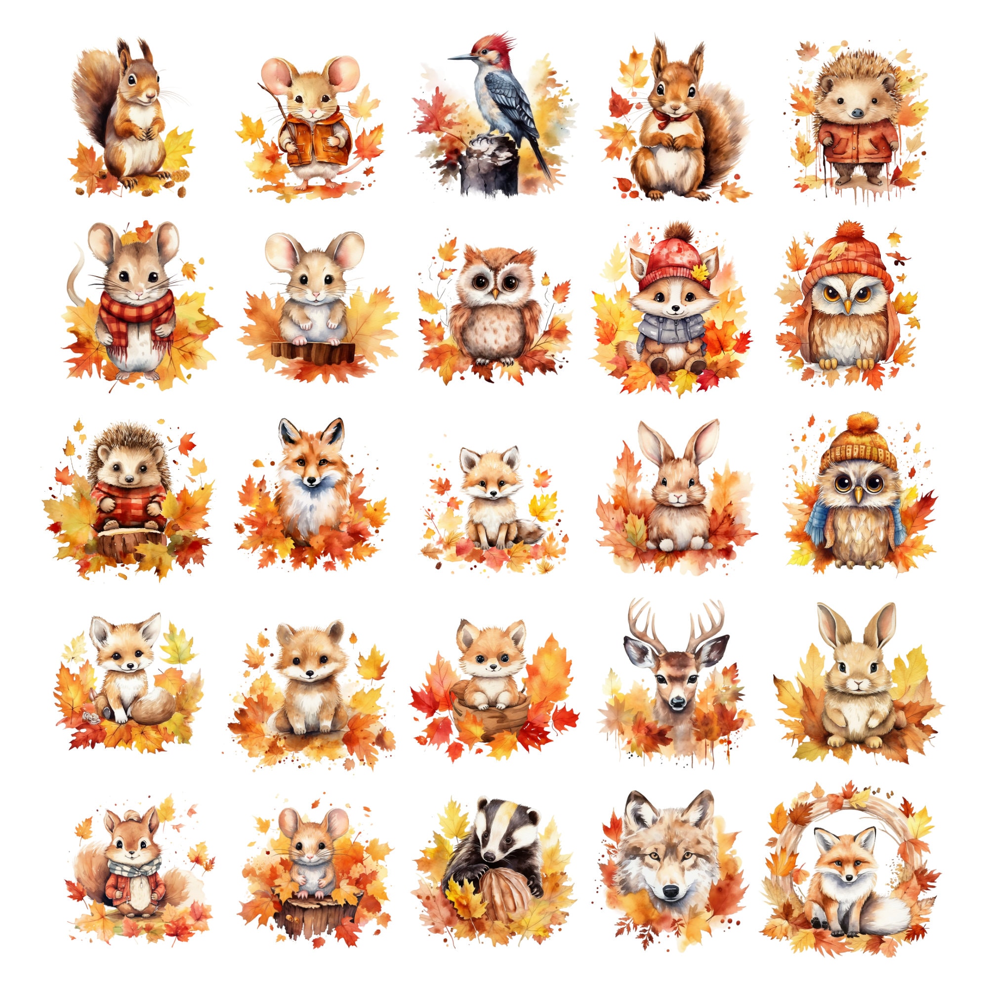 Autumn Animals Clipart Pumpkins Harvest and Fall Foliage - Etsy