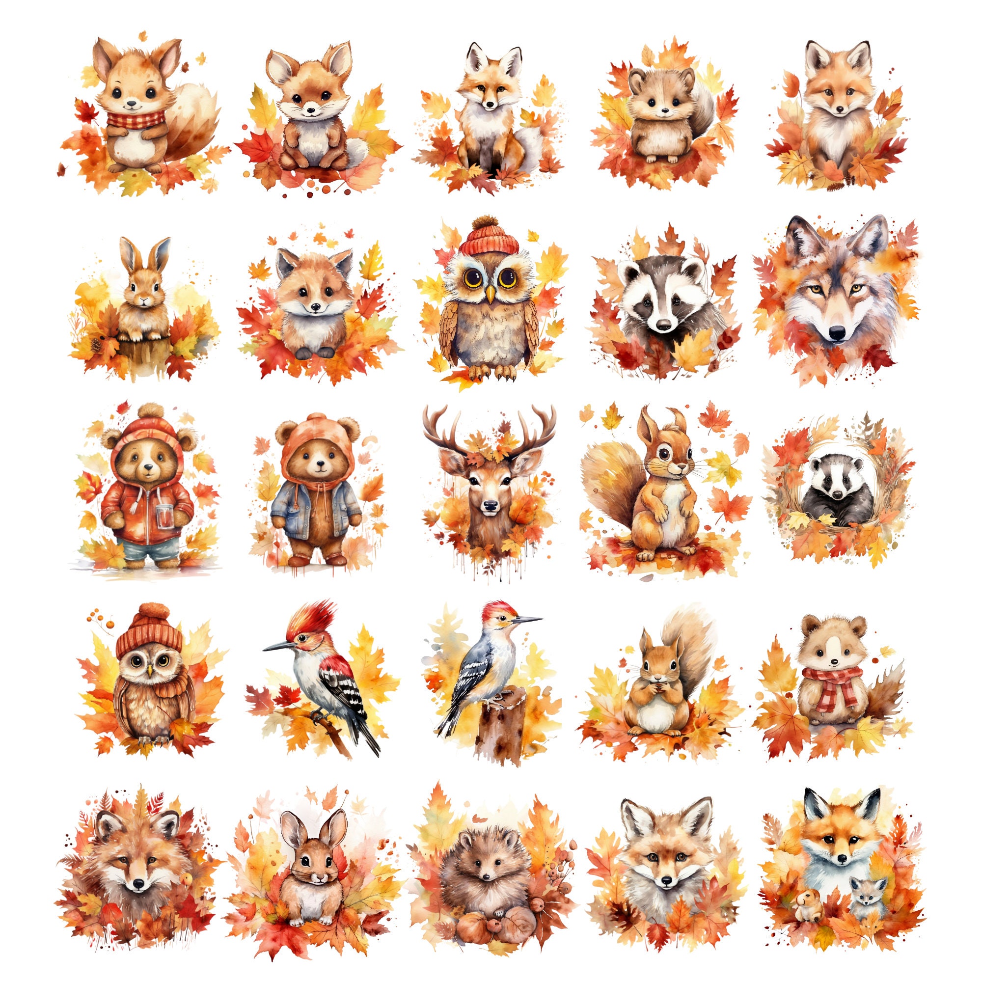 Autumn Animals Clipart Pumpkins Harvest and Fall Foliage - Etsy