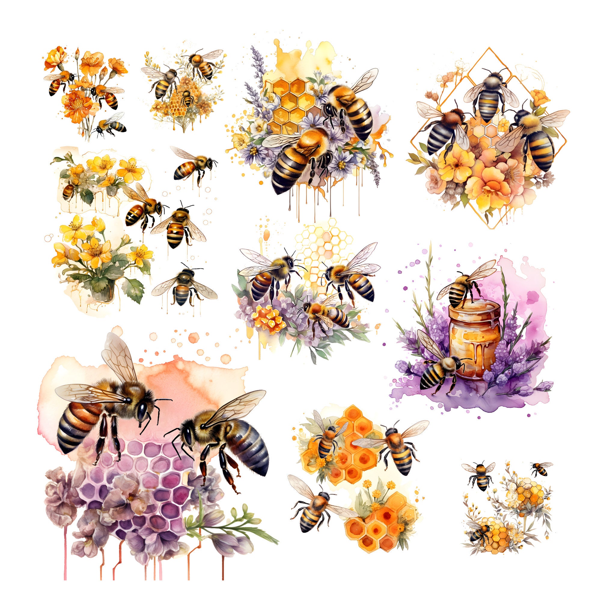 Watercolor Honey Bee Clipart - Spring Floral and Honey - Spring Clipart ...