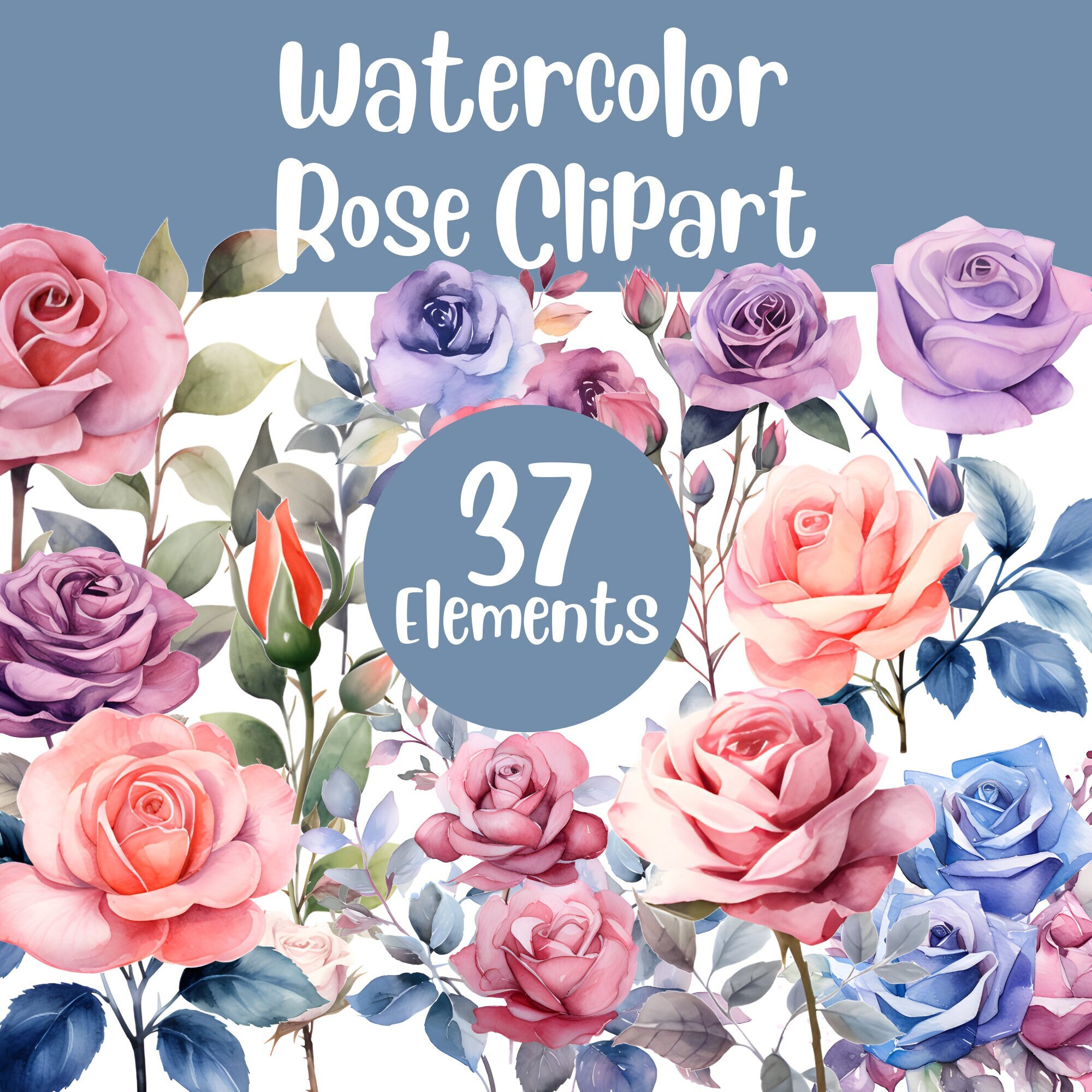 Rose Clipart Bundle Flower Png Garden Roses Card Making Junk Journal ...