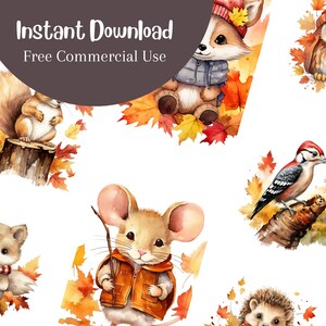 Autumn Animals Clipart Pumpkins Harvest and Fall Foliage - Etsy