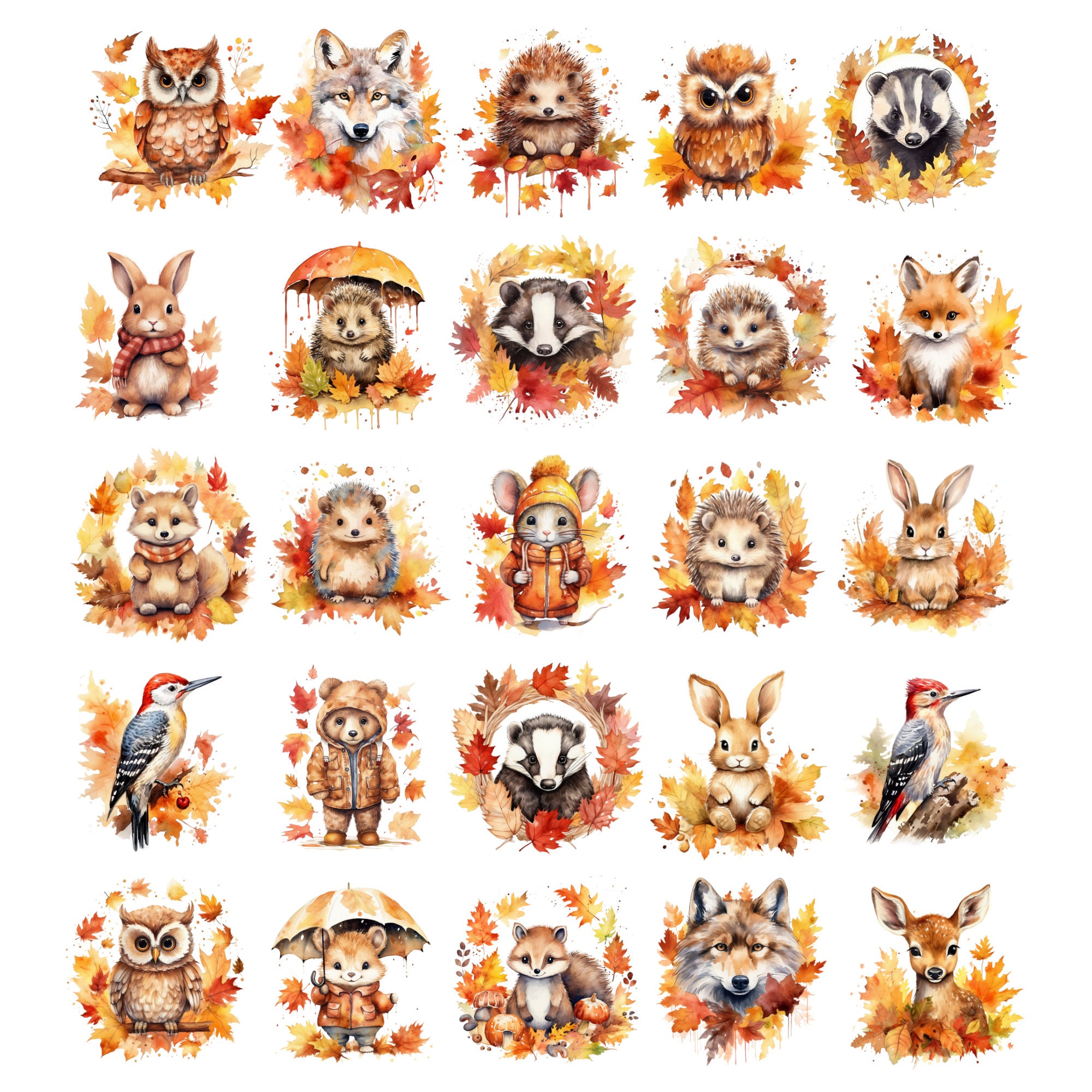 Autumn Animals Clipart Pumpkins Harvest and Fall Foliage - Etsy