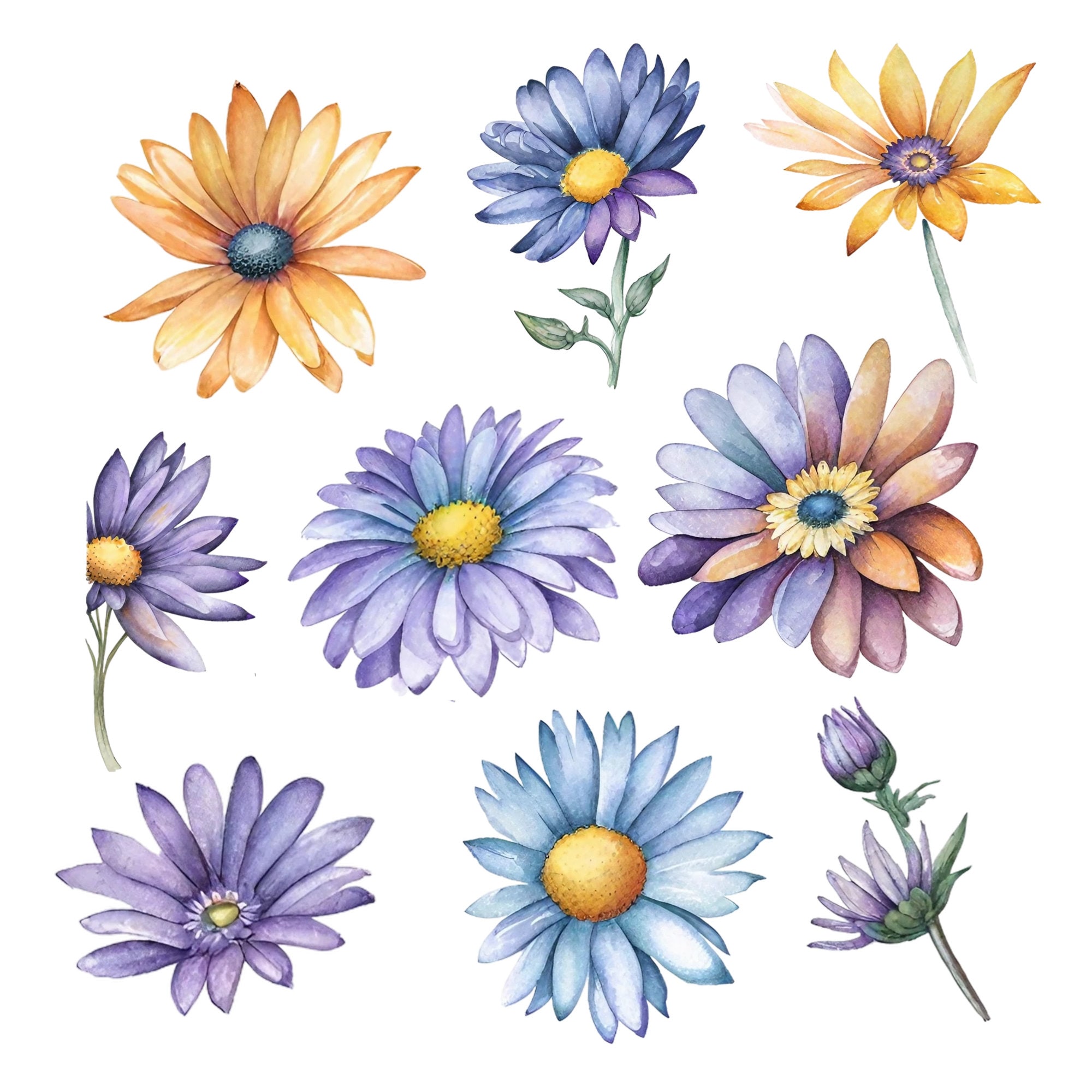 Daisy Clipart Watercolor Style Purple Daisy Png Floral Designs Flowers ...