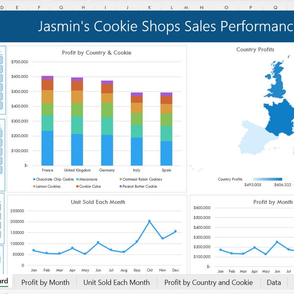 Excel Interactive Dashboard - Etsy