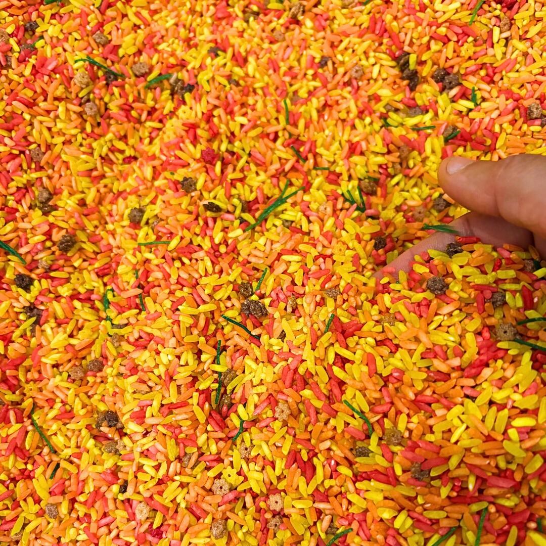 Fall Sensory Bin Filler, Autumn Themed Colored Rice for Kids ...